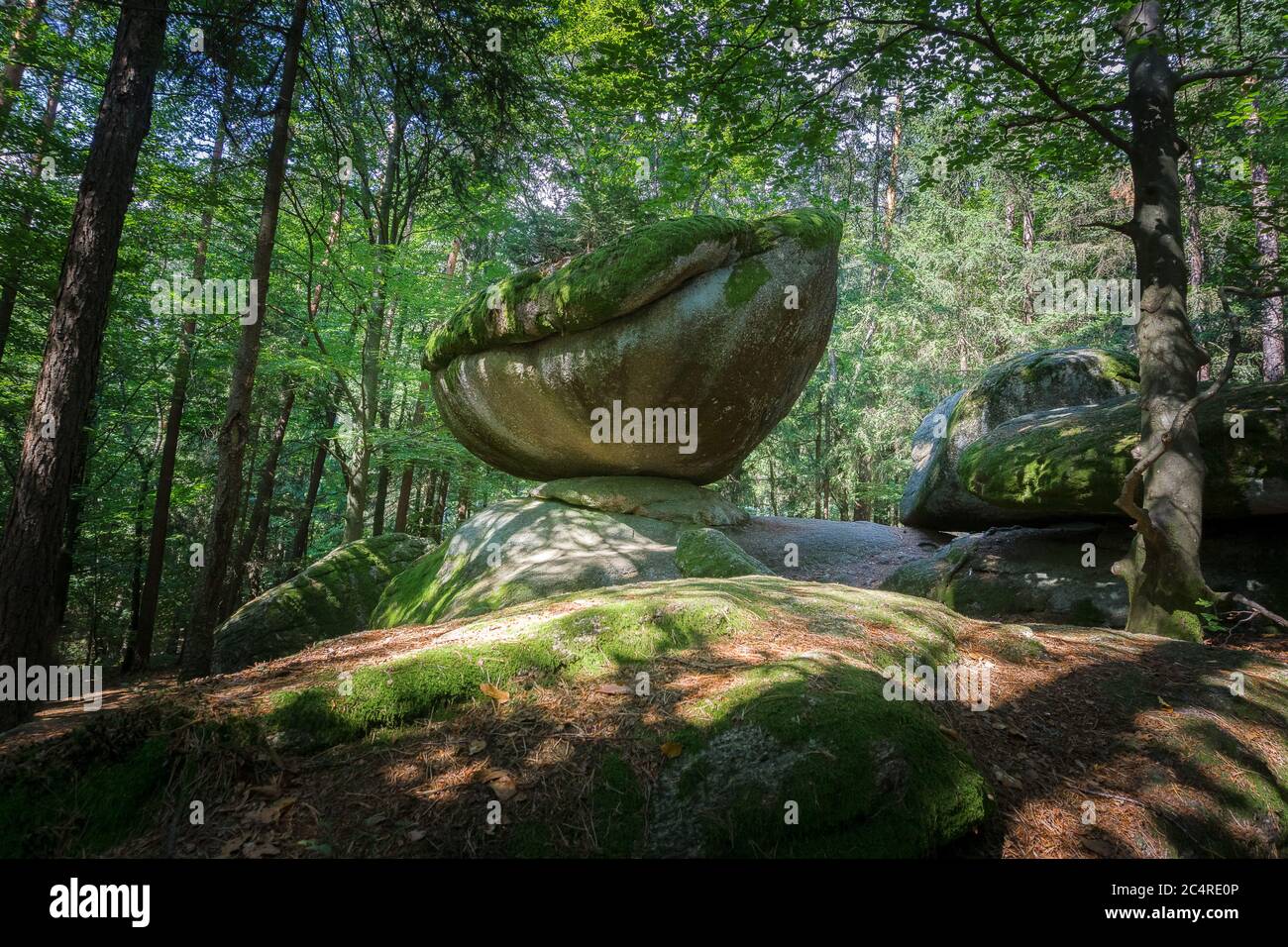 Wobble Stone in a Forest in Lower Bavaria Stock Photo - Alamy