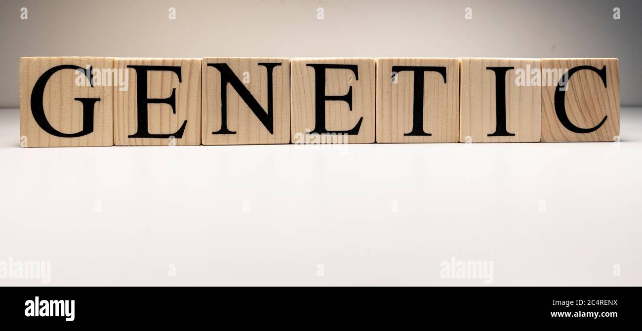 Genetic word written on wood cube with white background. Close up Stock ...