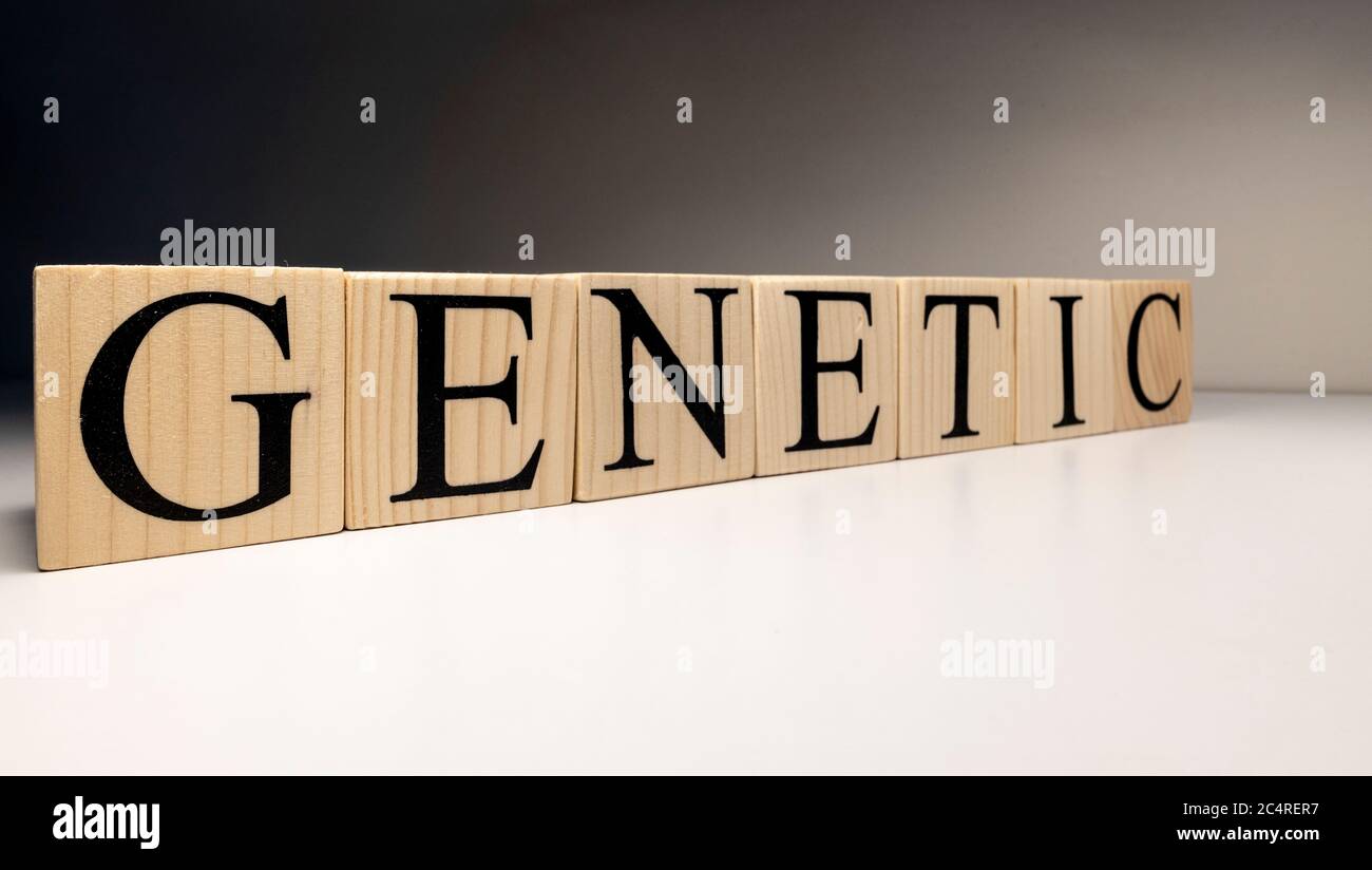 Genetic word written on wood cube with white background. Close up Stock ...