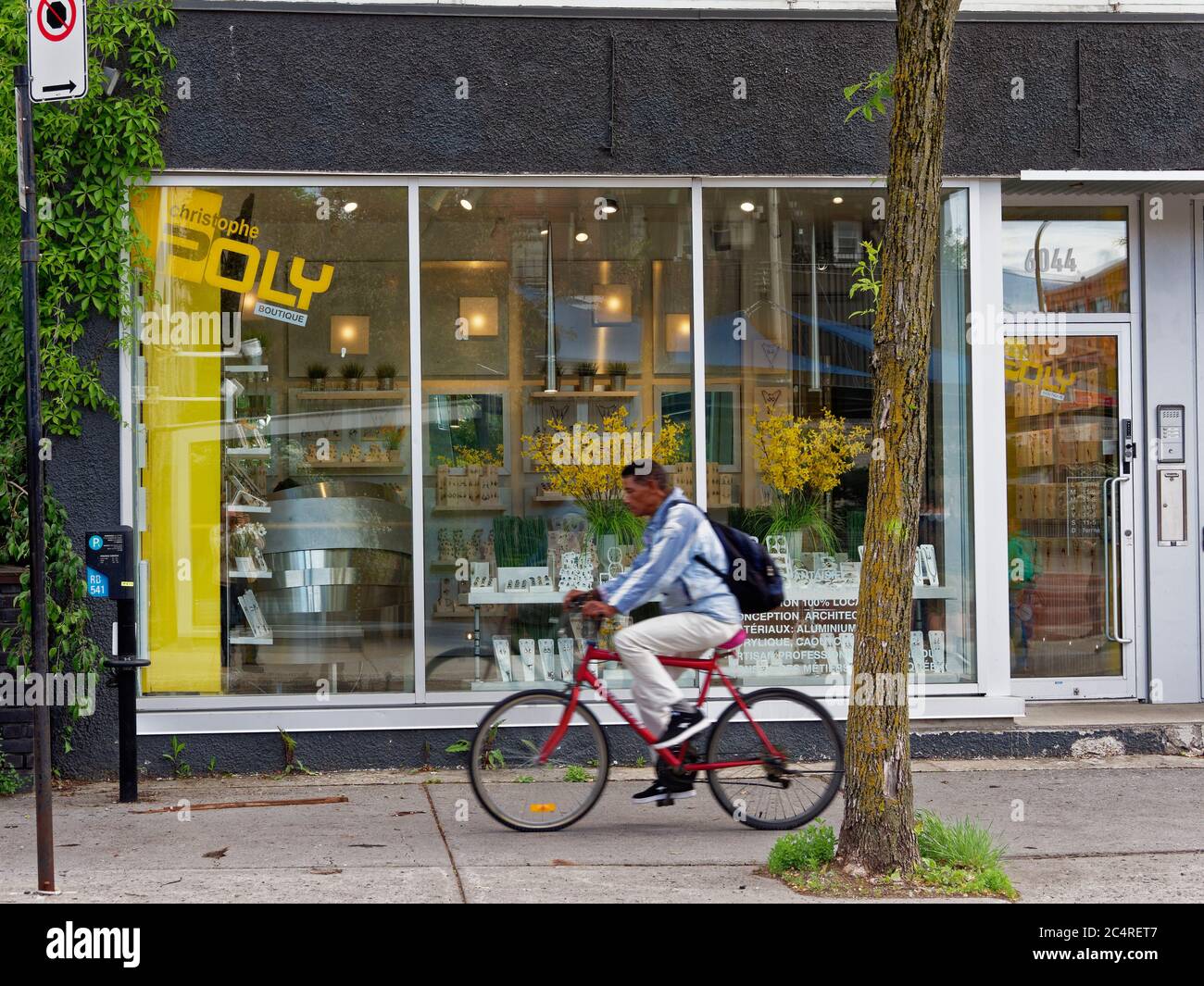 A cyclist riding along St-Hubert street in Montreal Stock Photo - Alamy