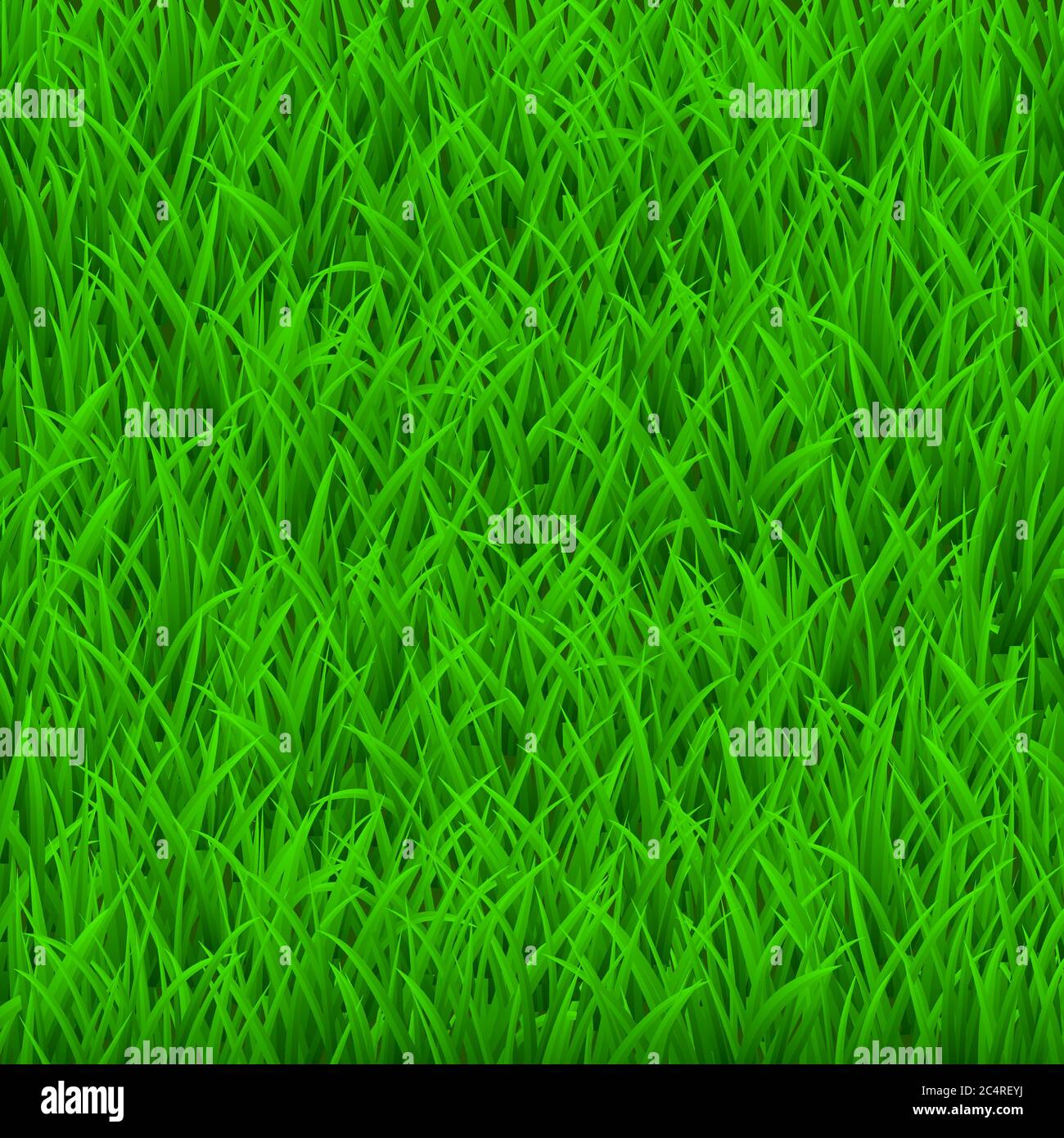 Minecraft Grass Top Texture