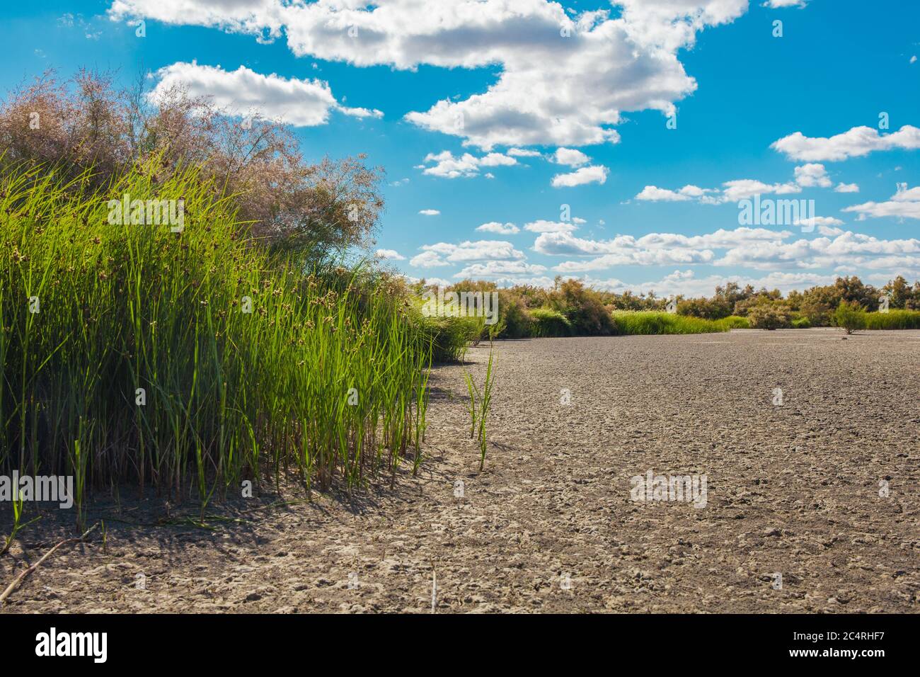 Lagoon view. Dry lagoon “Fuente De Piedra” Stock Photo - Alamy