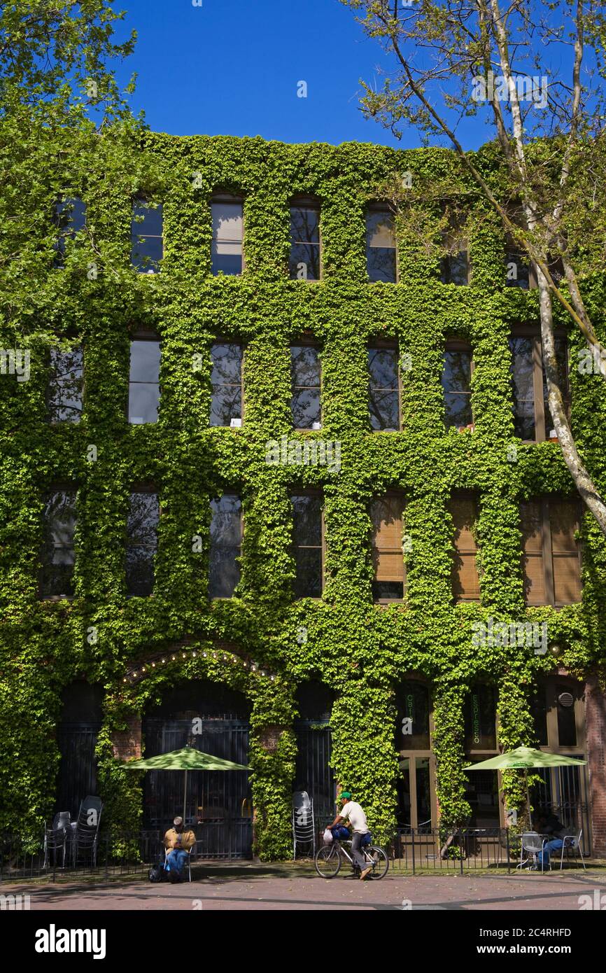 Suare hi-res stock photography and images - Alamy