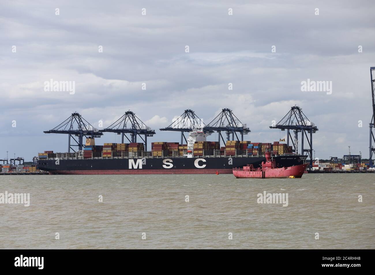 Container ship MSC Rosa M docked at the Port of Felixstowe, Suffolk, UK ...