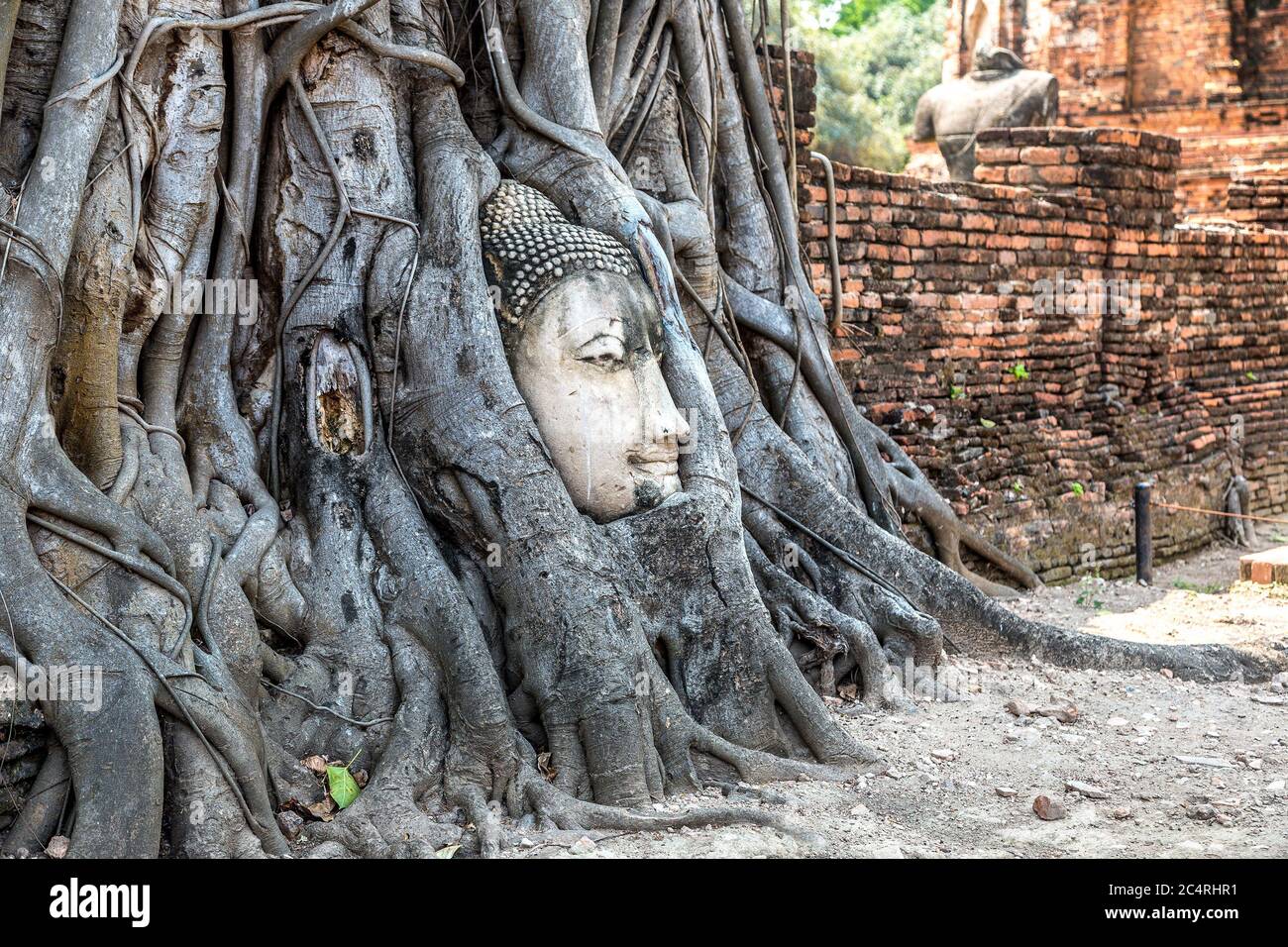 Ayutthaya Head of Buddha statue in tree roots, Wat Mahathat temple ...