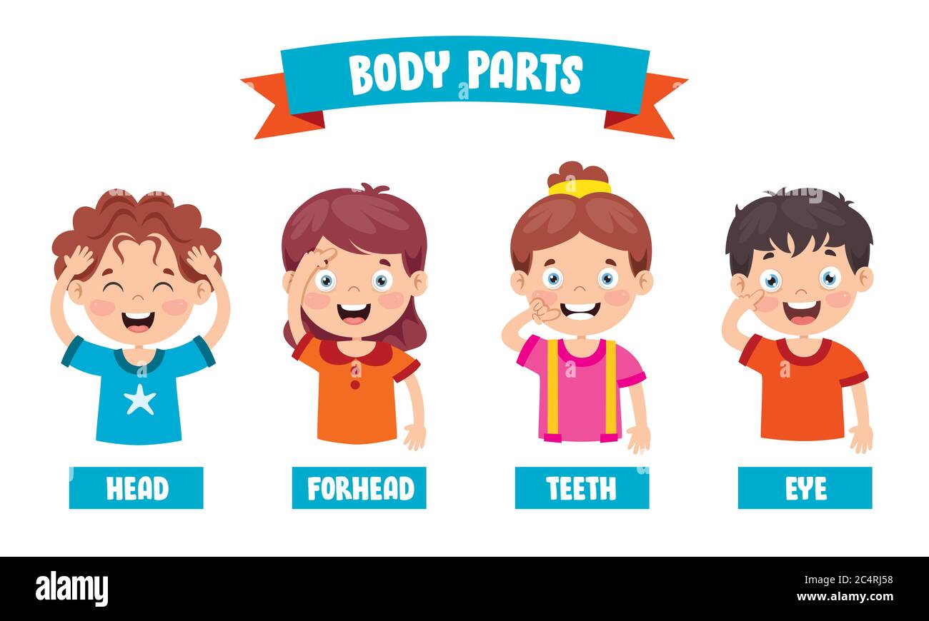 Human Body Clipart For Kids