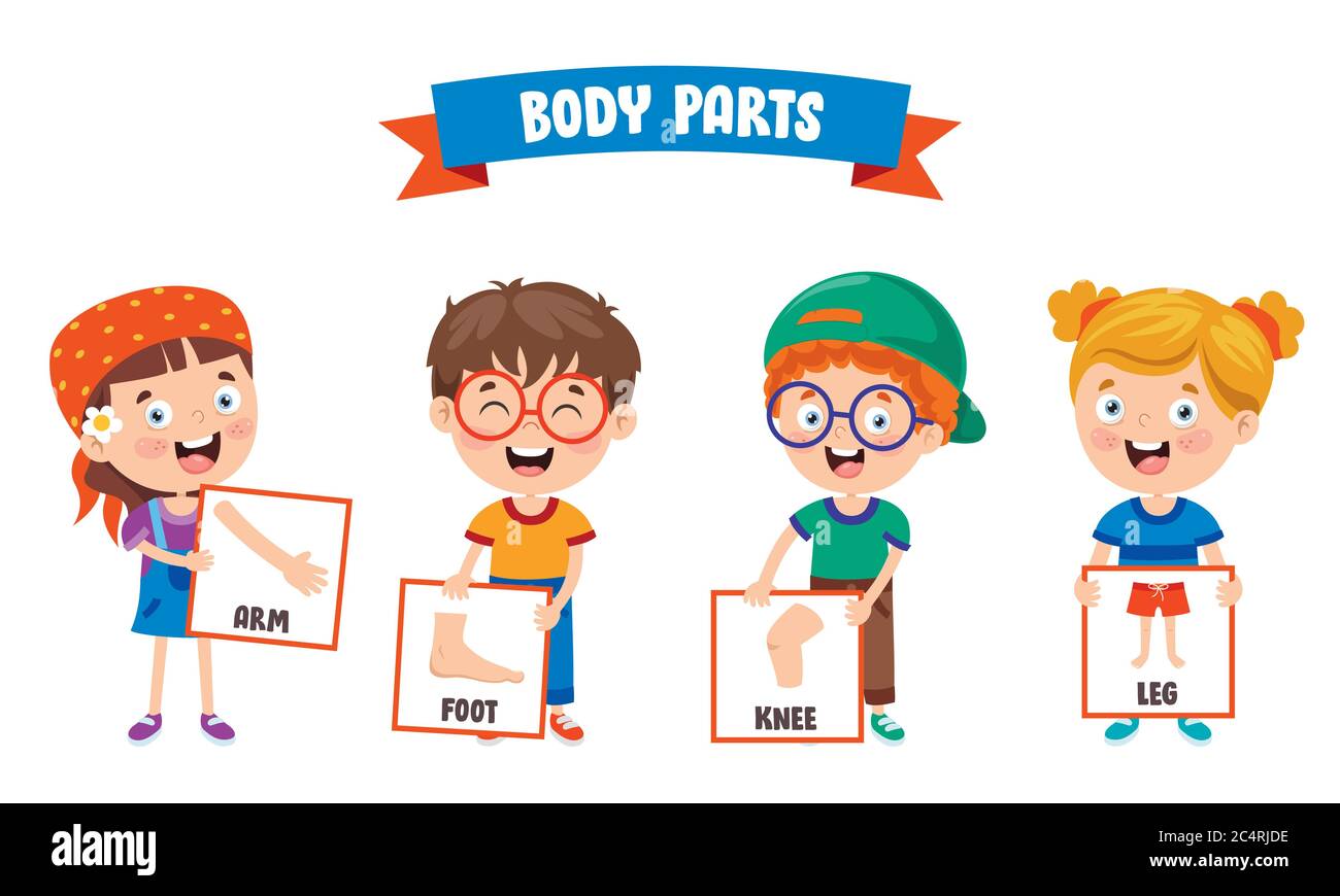 Child body organs Stock Vector Images - Alamy