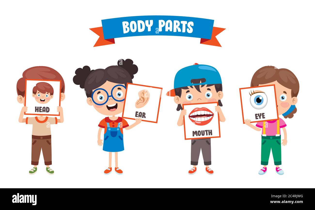 Human Body Clipart For Kids