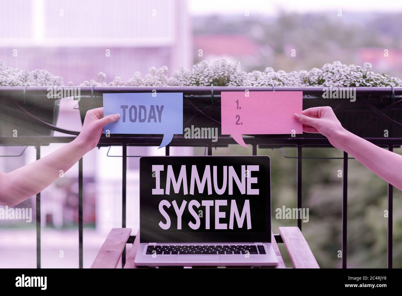 Conceptual hand writing showing Immune System. Concept meaning Complex ...