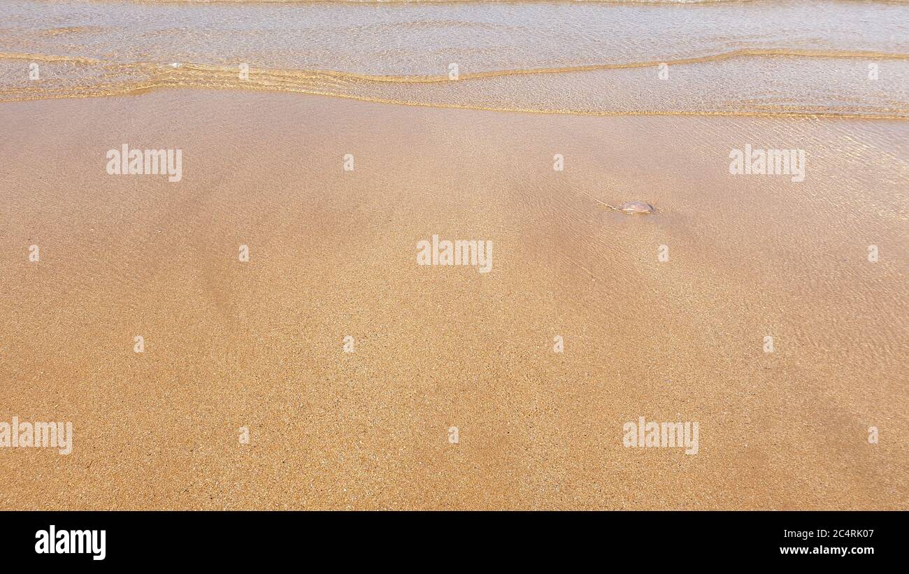 Sand patterns and sea Stock Photo - Alamy