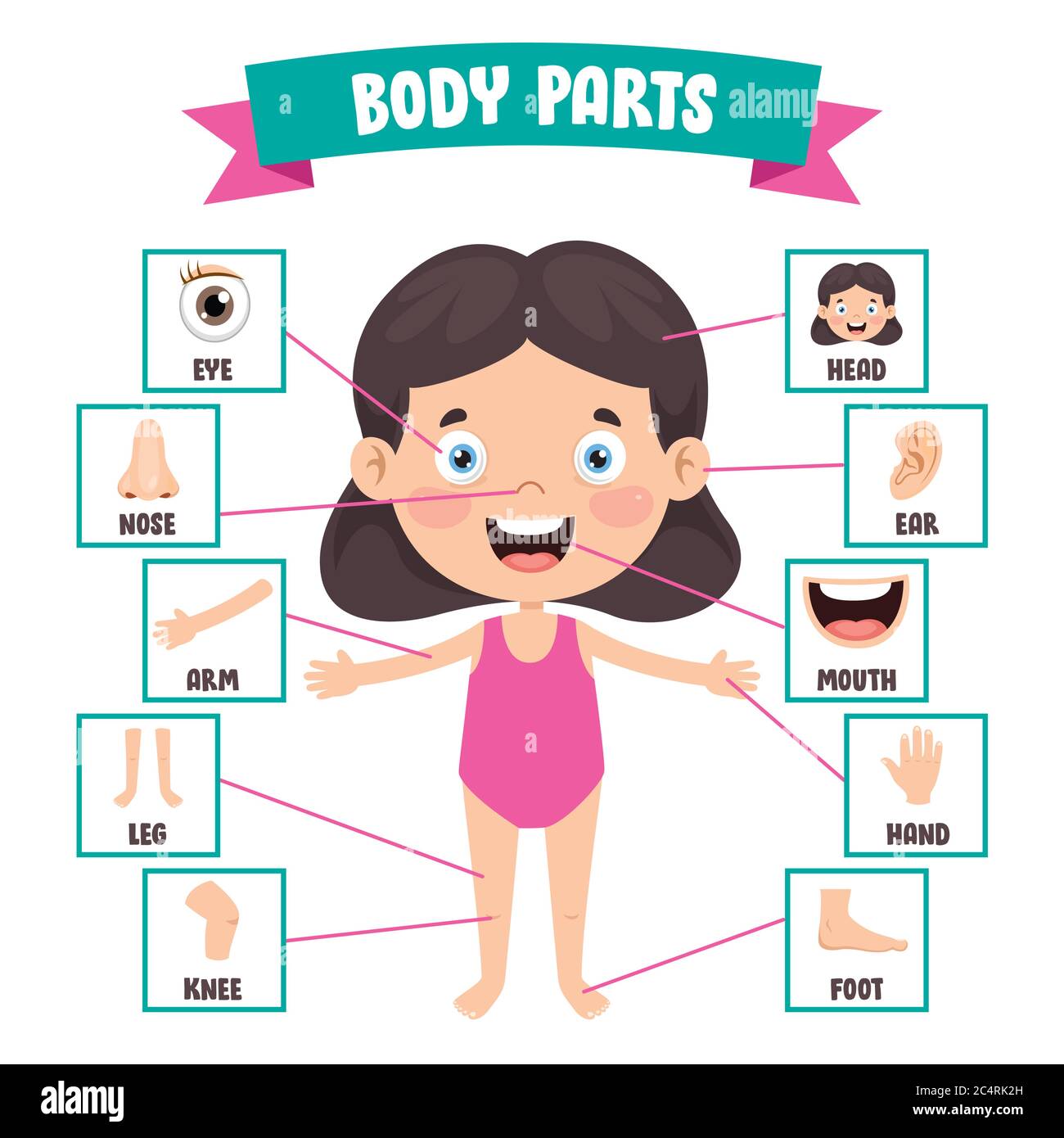 Funny Child Showing Human Body Parts Stock Vector Image & Art - Alamy