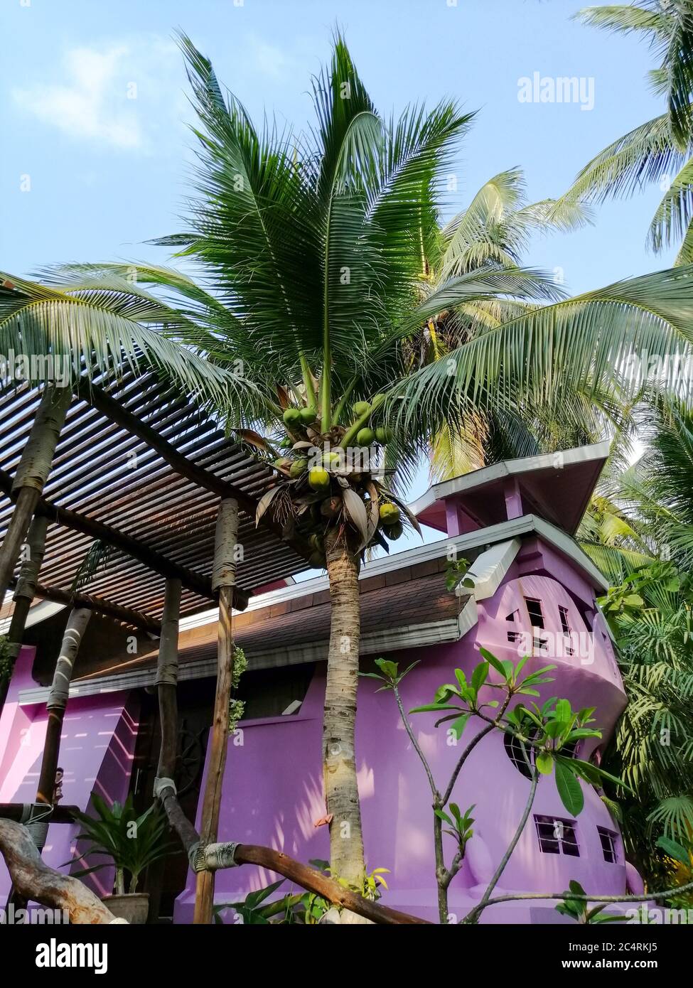 Palm tree and blue sky. Coconut Palm tree with cloudy blue sky ...
