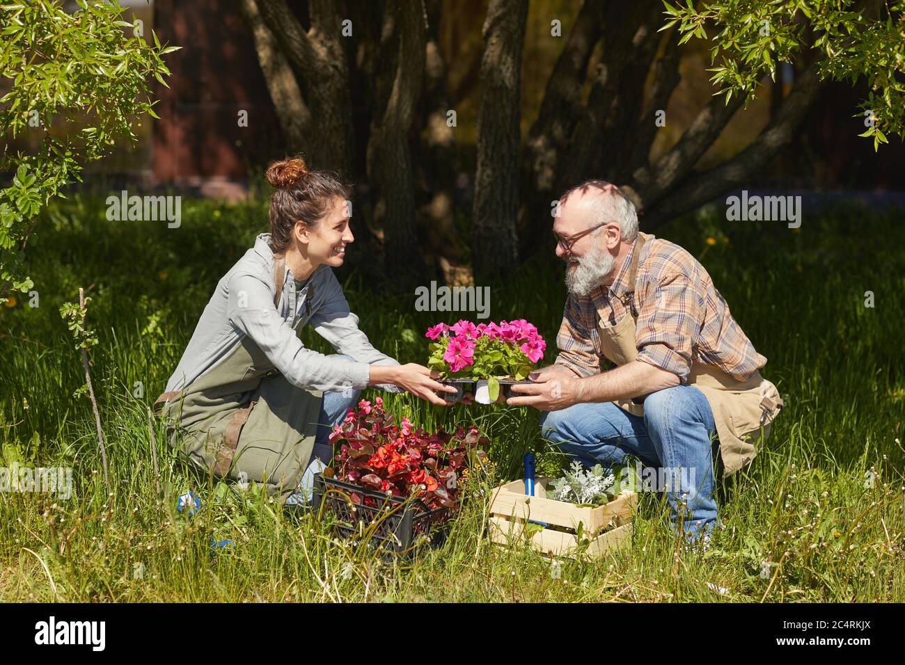Side view portrait of father and daughter planting flowers under big ...