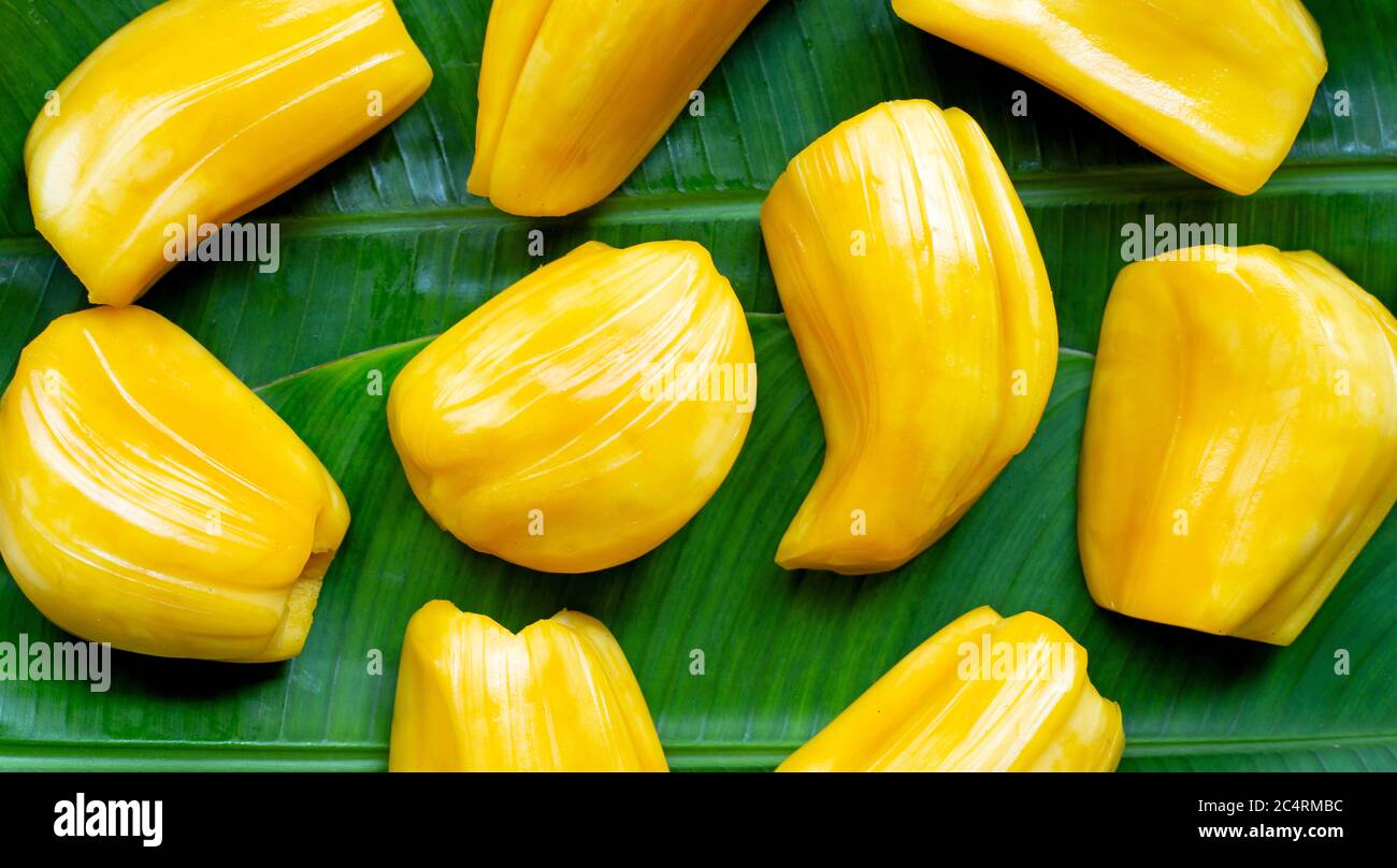 Surface jackfruit fruit sweet fruit hi-res stock photography and images ...