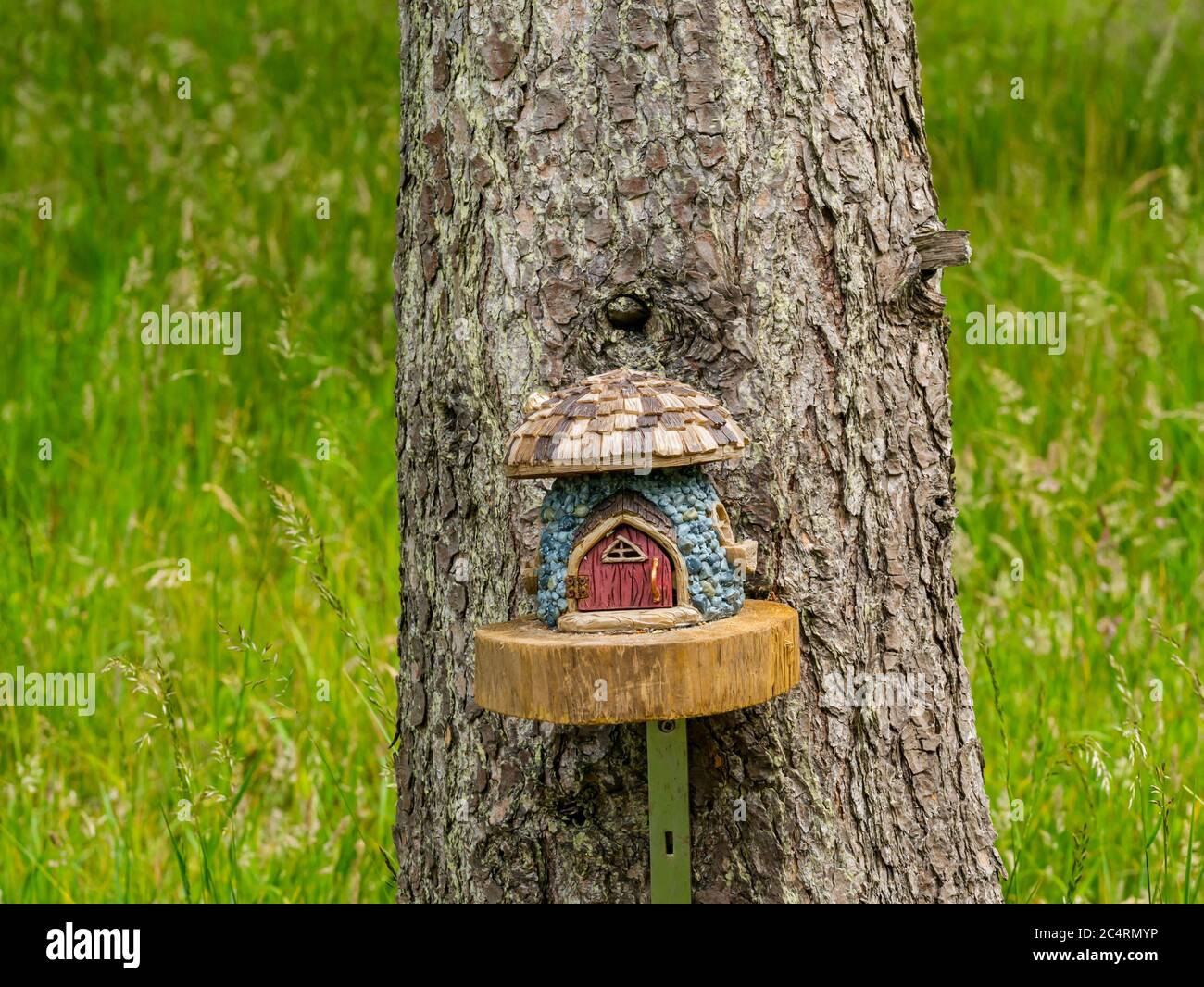 Fairy tree house hi-res stock photography and images - Alamy