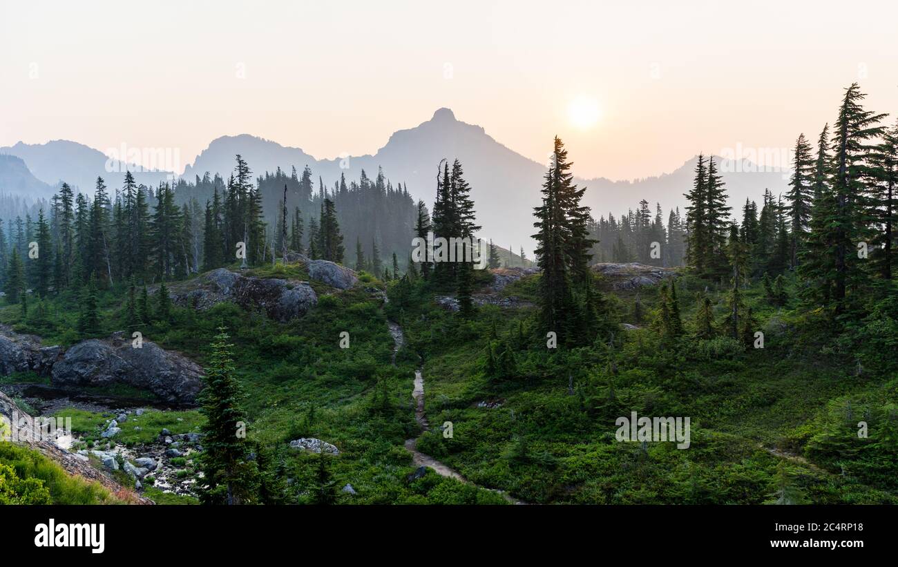 Calm quiet morning at the high alpine trail in Washington Stock Photo ...