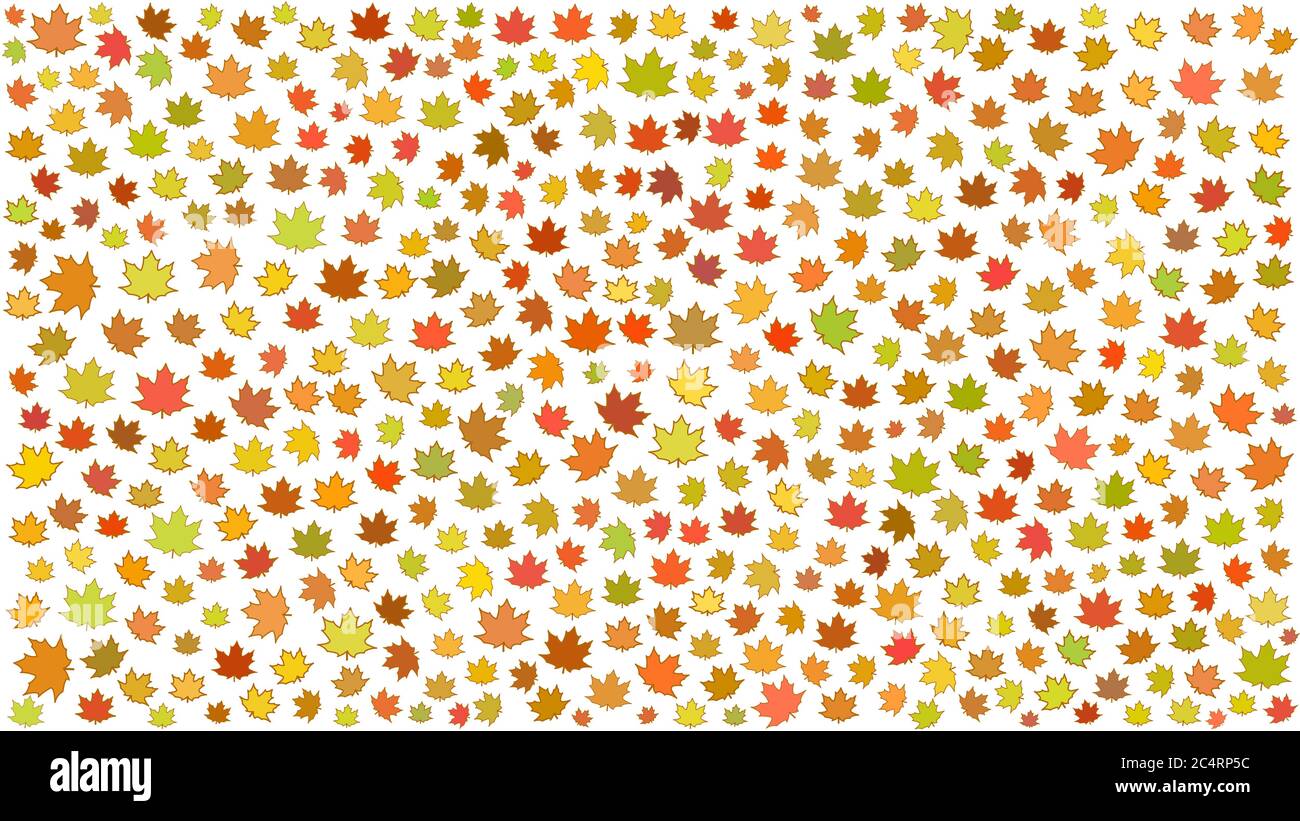 Plant with small leaves Stock Vector Images - Alamy