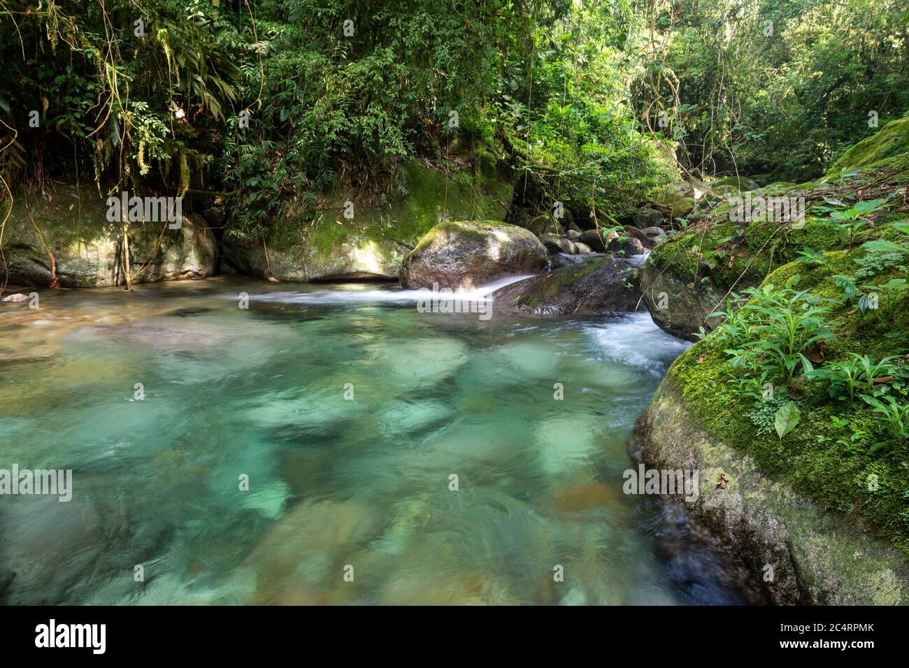 Beautiful crystal clear river with blue water on green rainforest ...