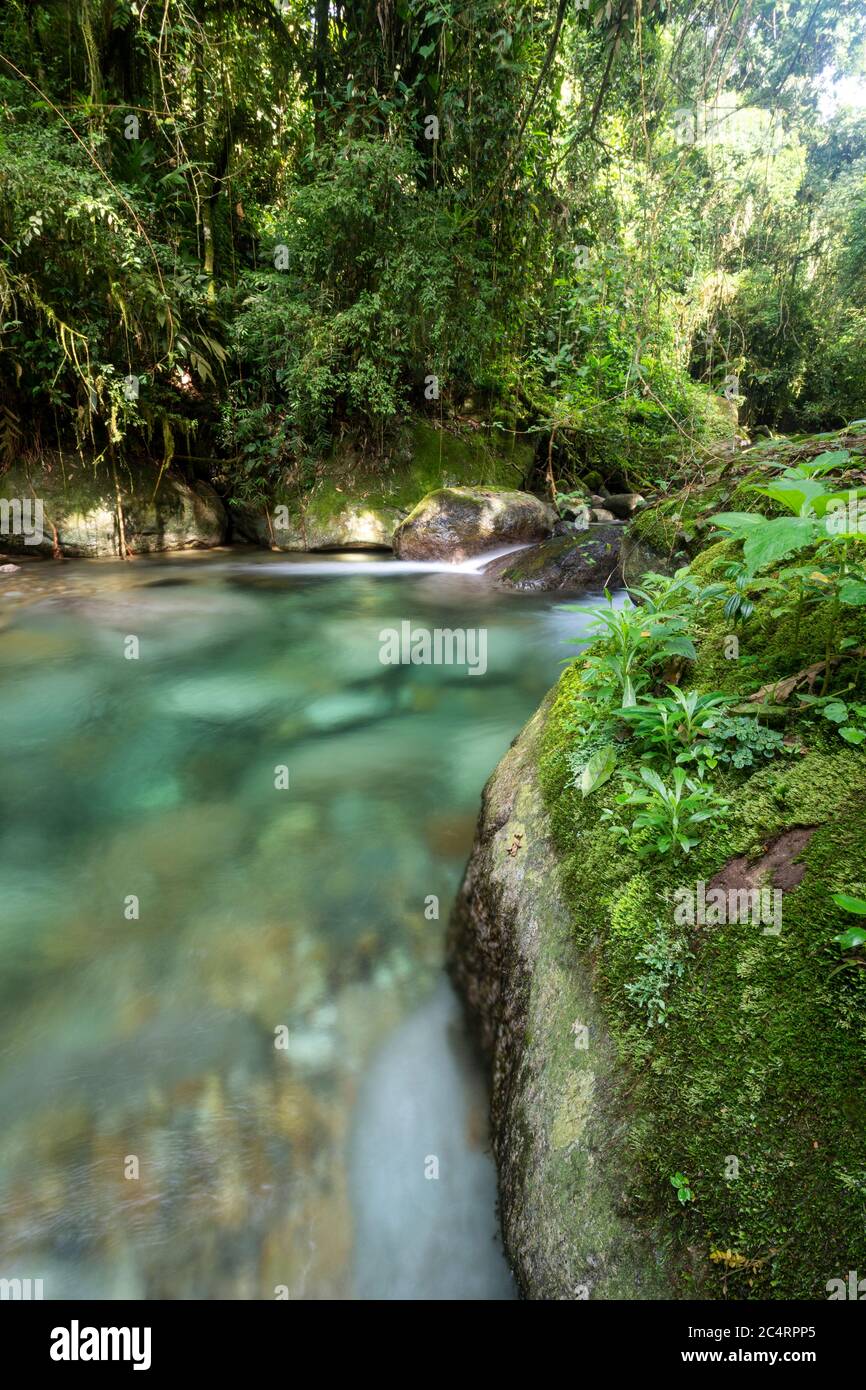Beautiful crystal clear river with blue water on green rainforest ...