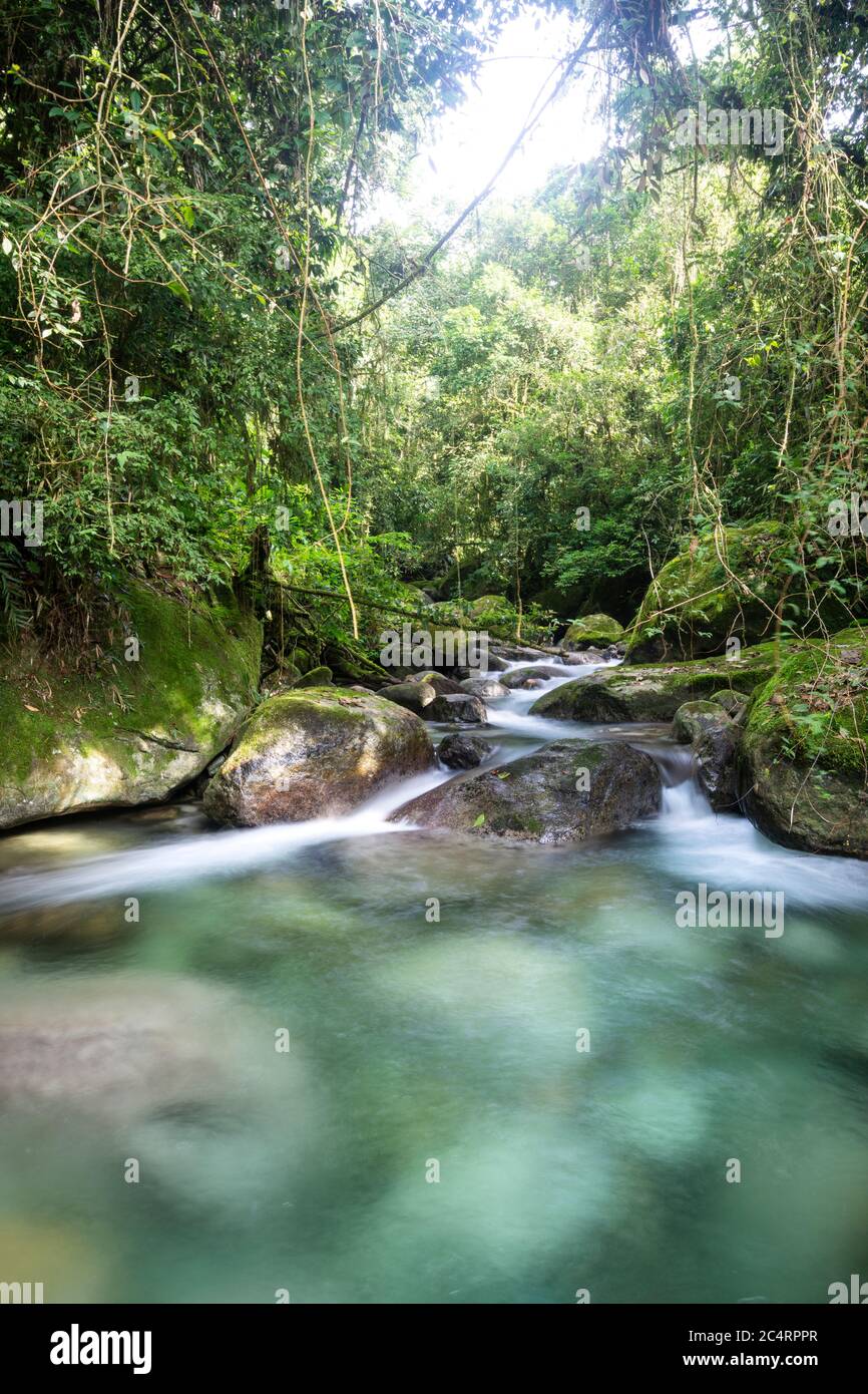 Beautiful crystal clear river with blue water on green rainforest ...