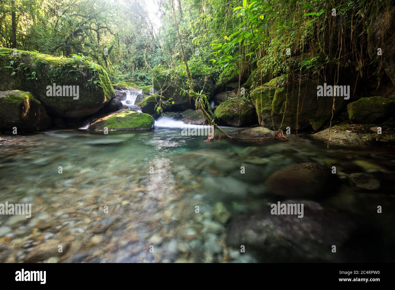 Beautiful crystal clear river with blue water on green rainforest ...