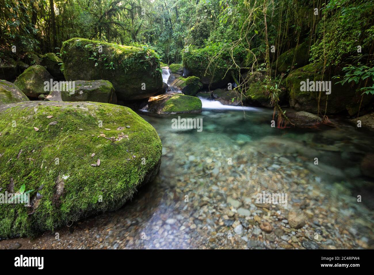 Beautiful crystal clear river with blue water on green rainforest ...