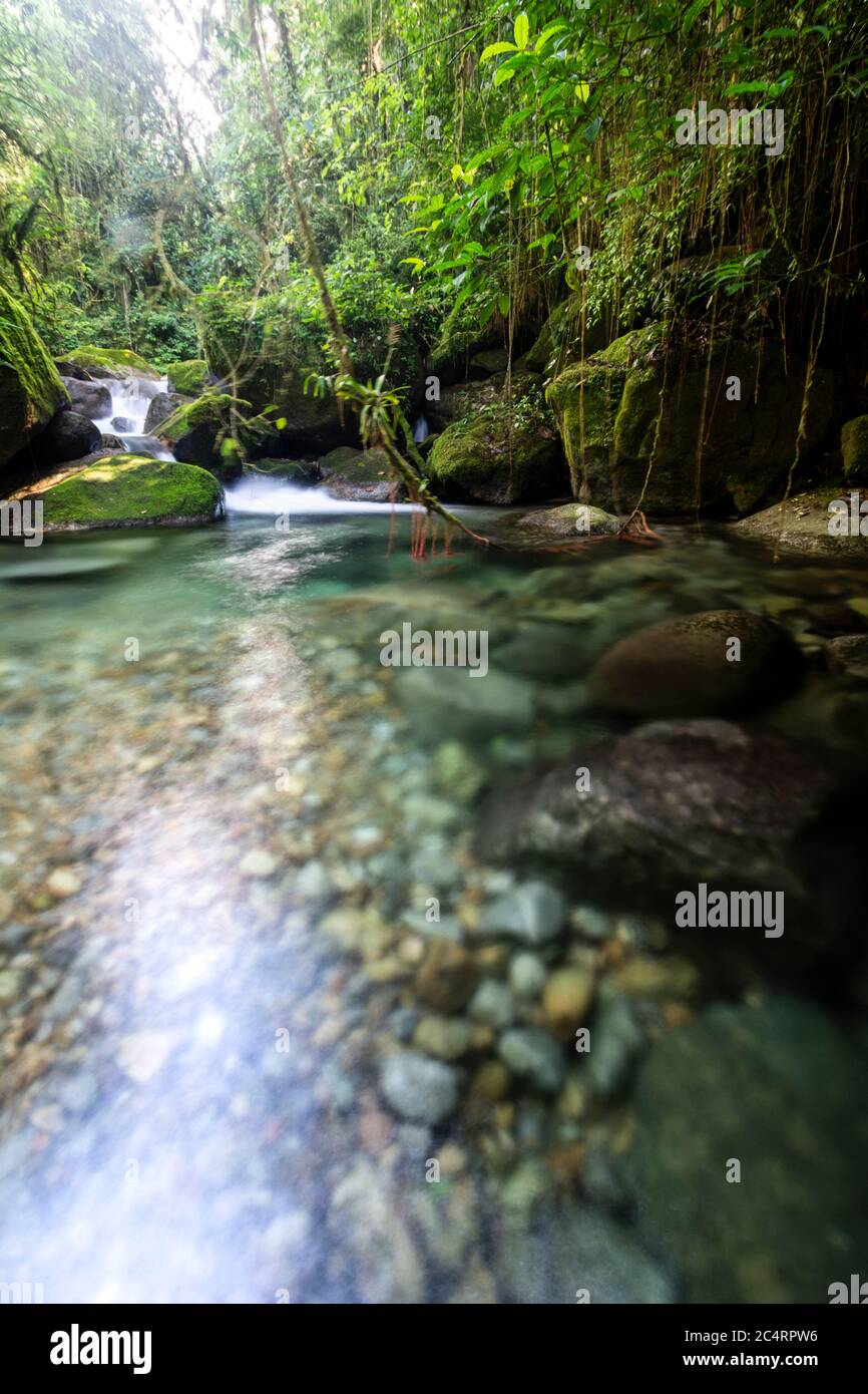 Beautiful crystal clear river with blue water on green rainforest ...