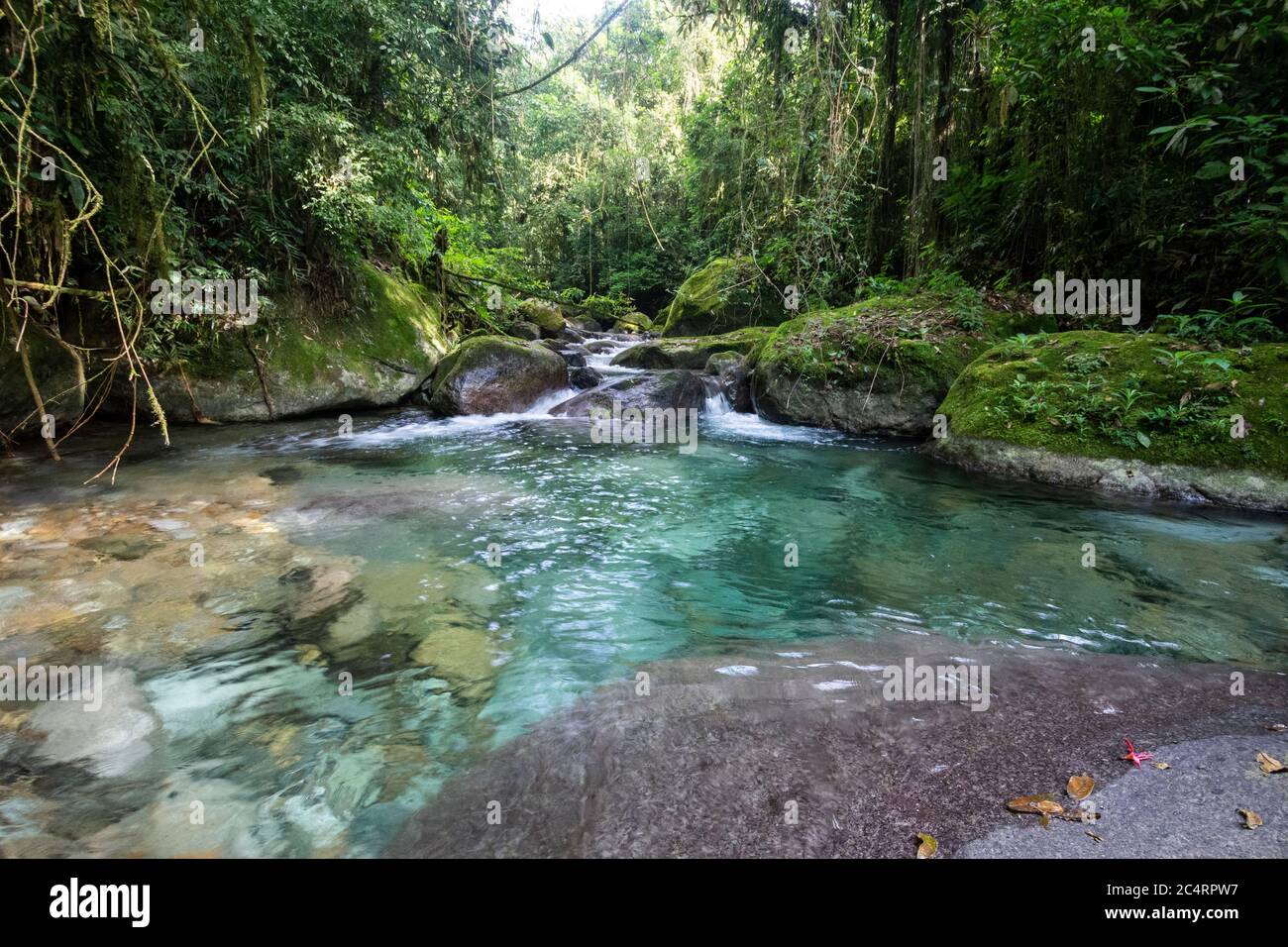 Beautiful crystal clear river with blue water on green rainforest ...