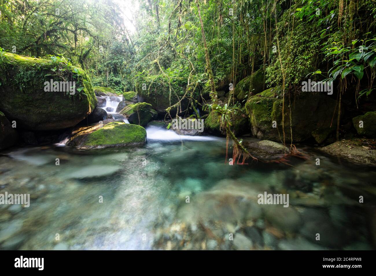 Beautiful crystal clear river with blue water on green rainforest ...