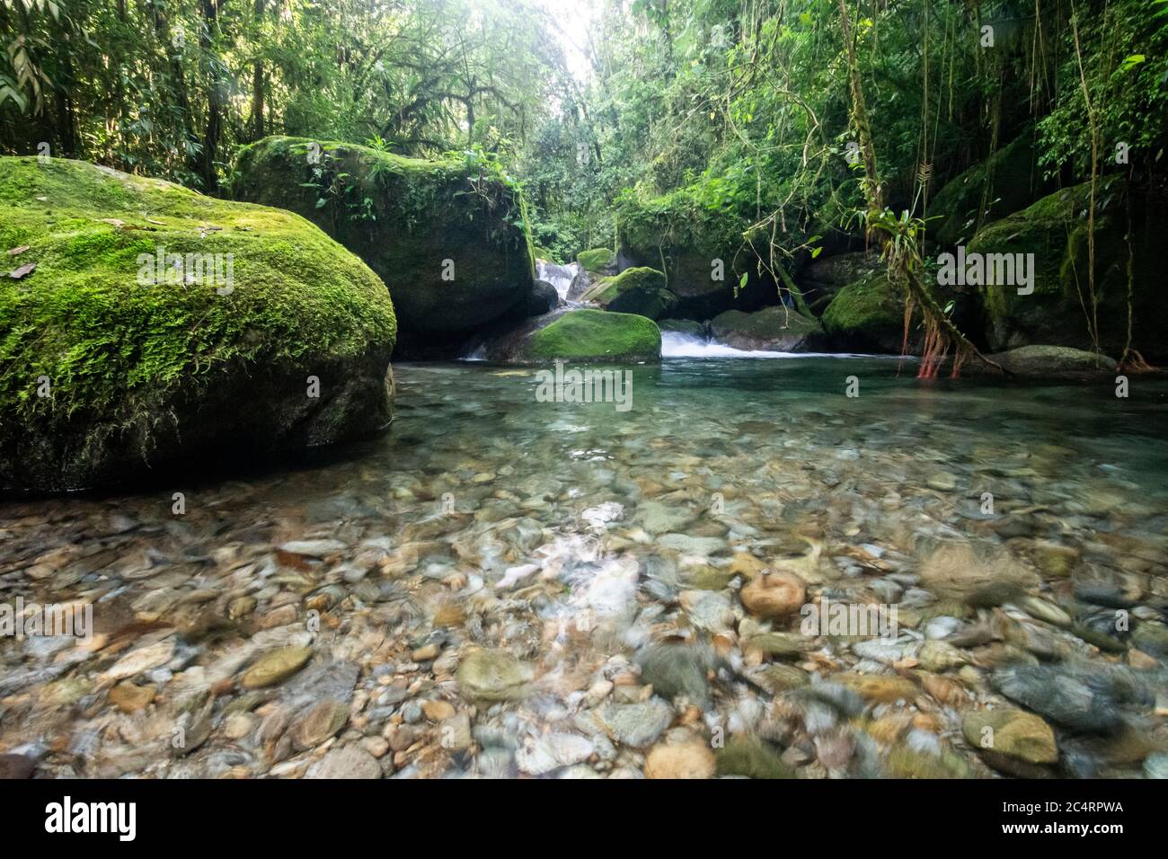 Beautiful crystal clear river with blue water on green rainforest ...