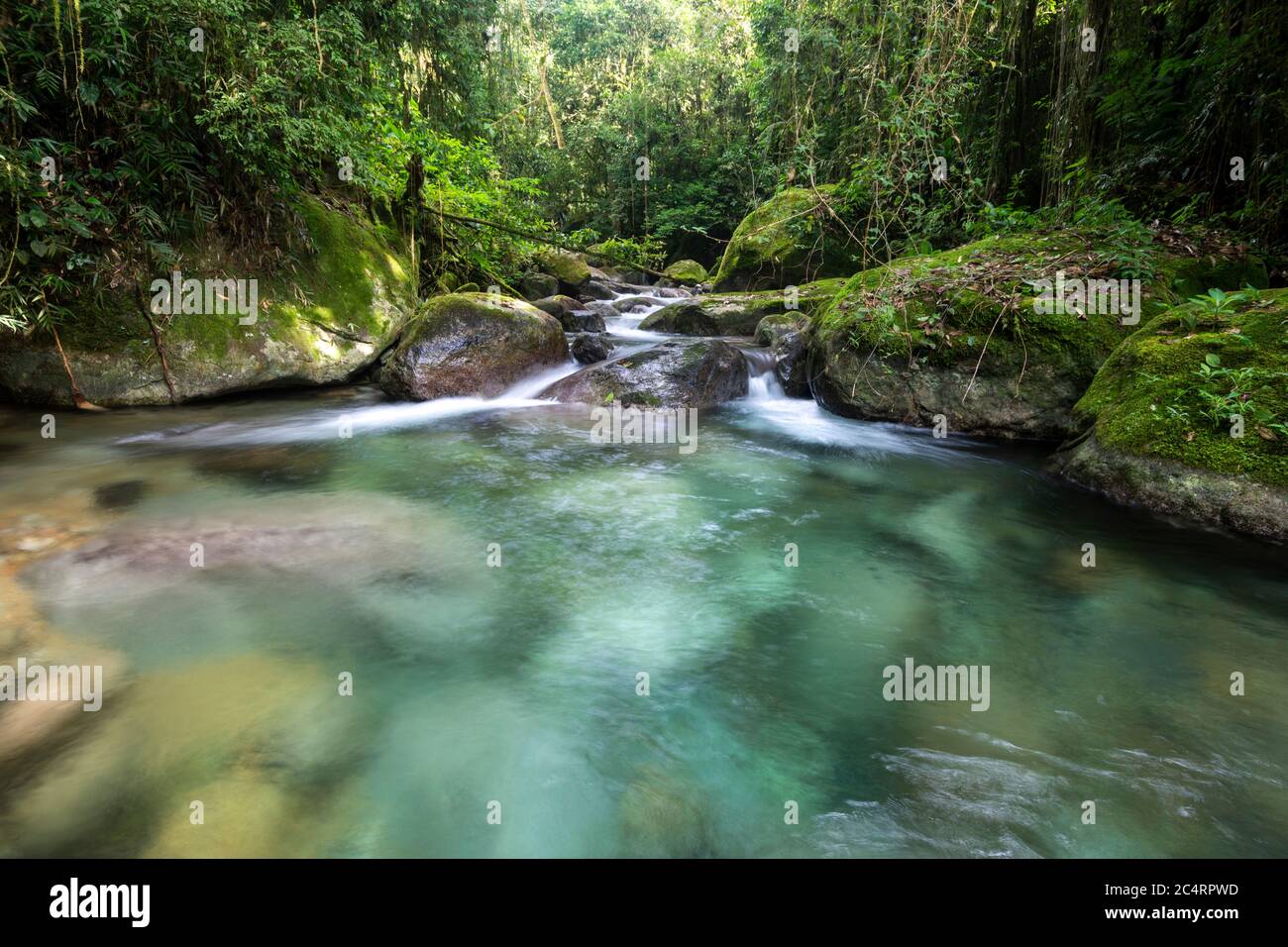 Beautiful crystal clear river with blue water on green rainforest ...