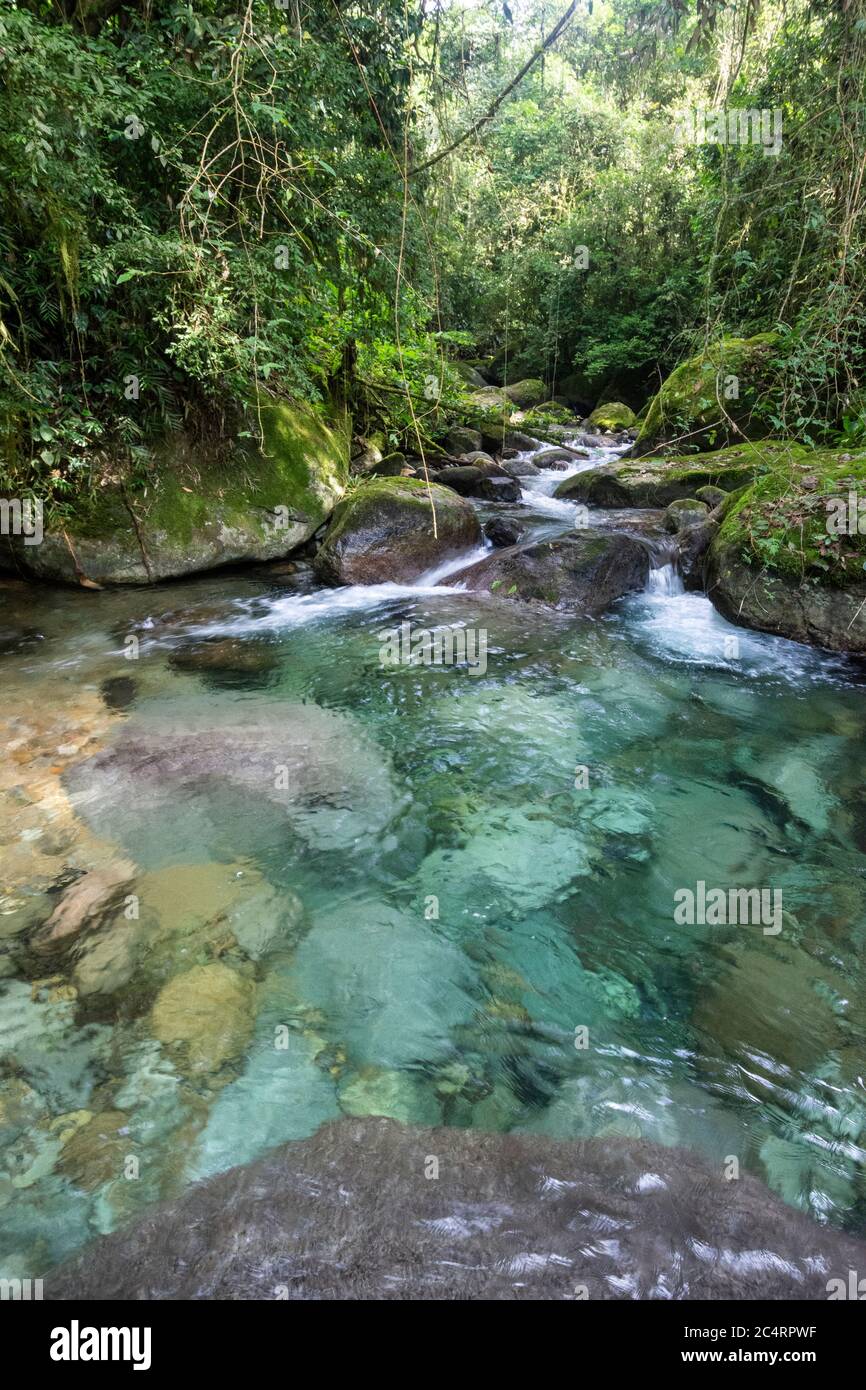 Beautiful crystal clear river with blue water on green rainforest ...