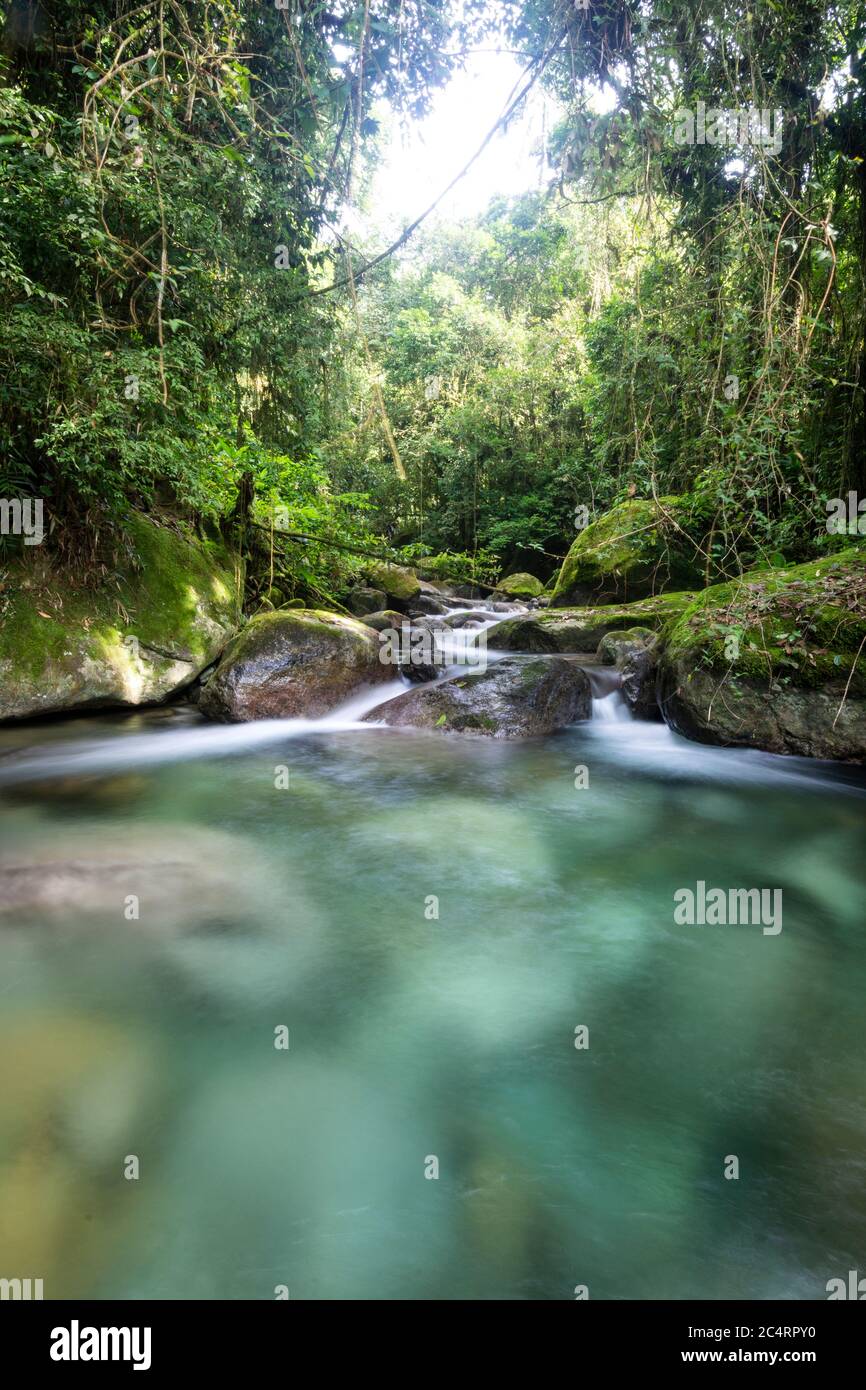 Beautiful crystal clear river with blue water on green rainforest ...