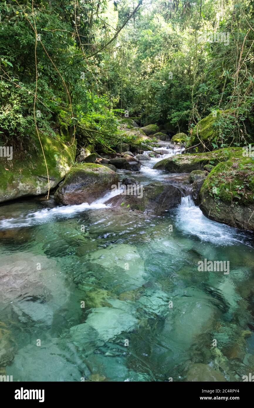 Beautiful crystal clear river with blue water on green rainforest ...