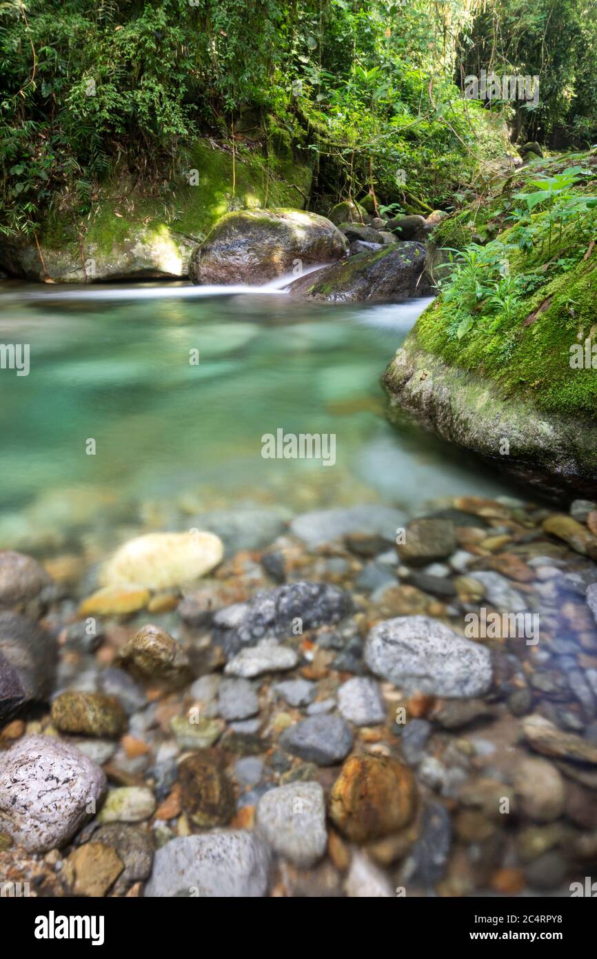 Beautiful crystal clear river with blue water on green rainforest ...