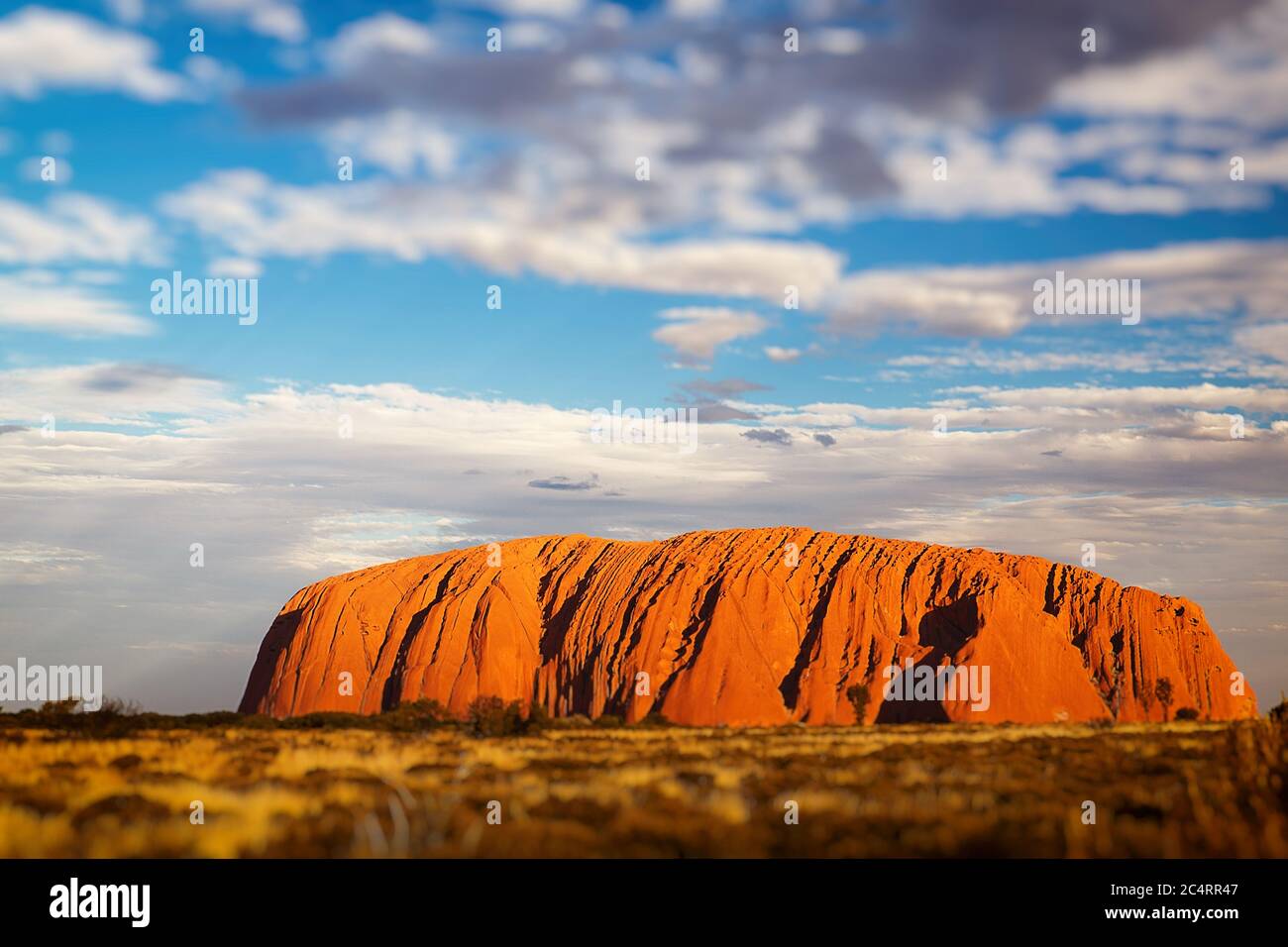 Uluru fauna hi-res stock photography and images - Alamy