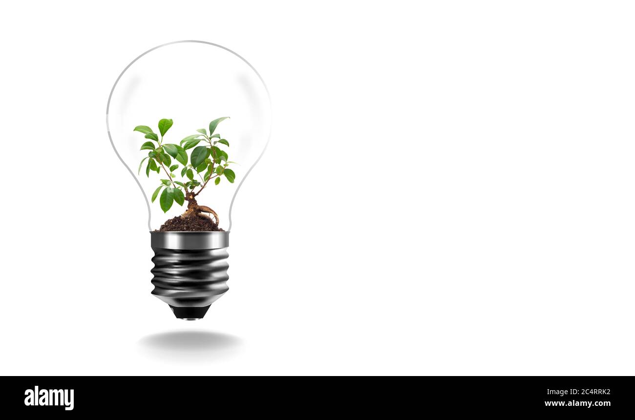 Environmentally conscious hi-res stock photography and images - Alamy