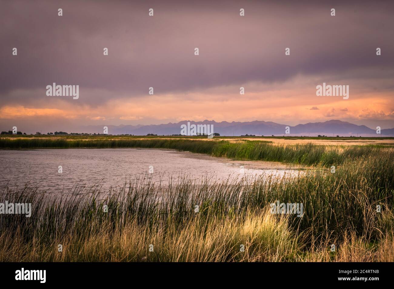 Alamosa National Wildlife Refuge in spring Stock Photo - Alamy