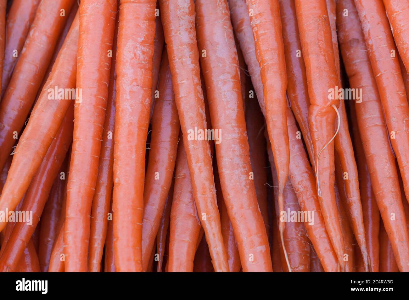 Freshly Picked Carrots, Full-Frame Stock Photo - Alamy