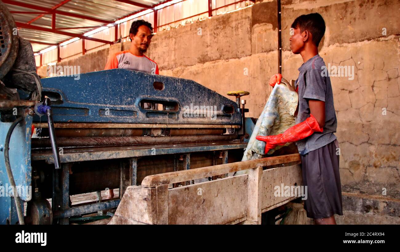 the process of cutting raw skin before it is processed for the ...
