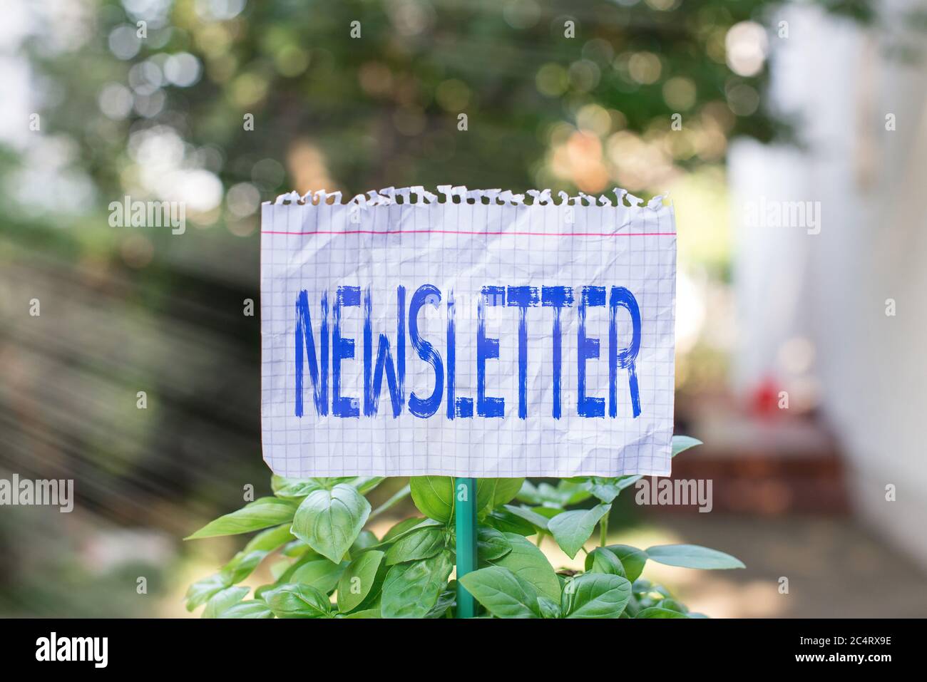 Handwriting text Newsletter. Conceptual photo the bulletin was given to ...