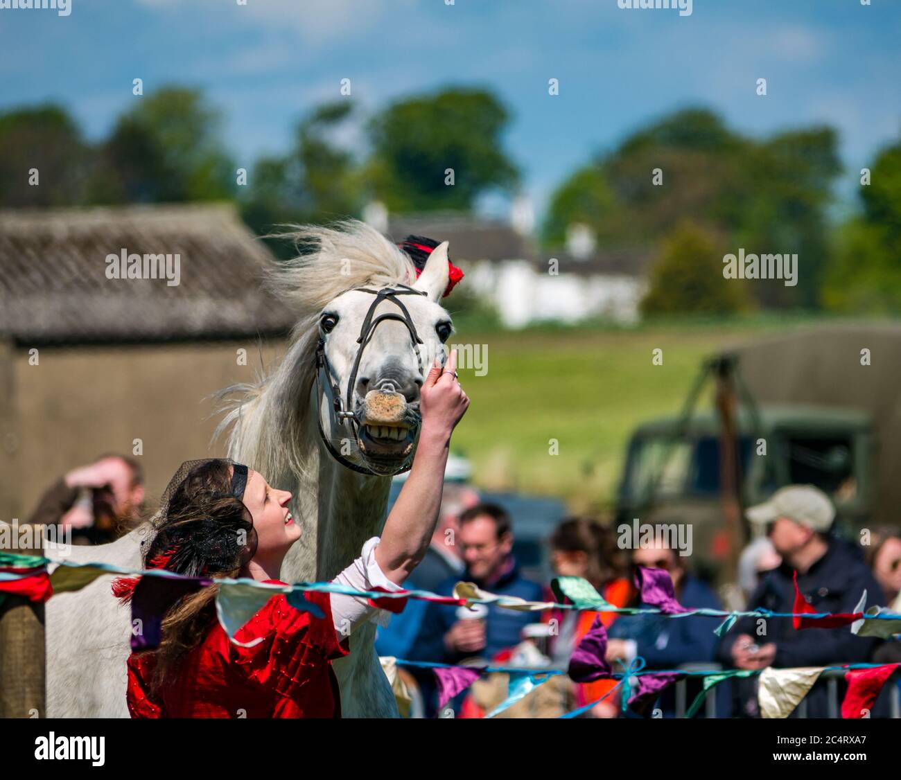 Baring teeth woman hi-res stock photography and images - Alamy