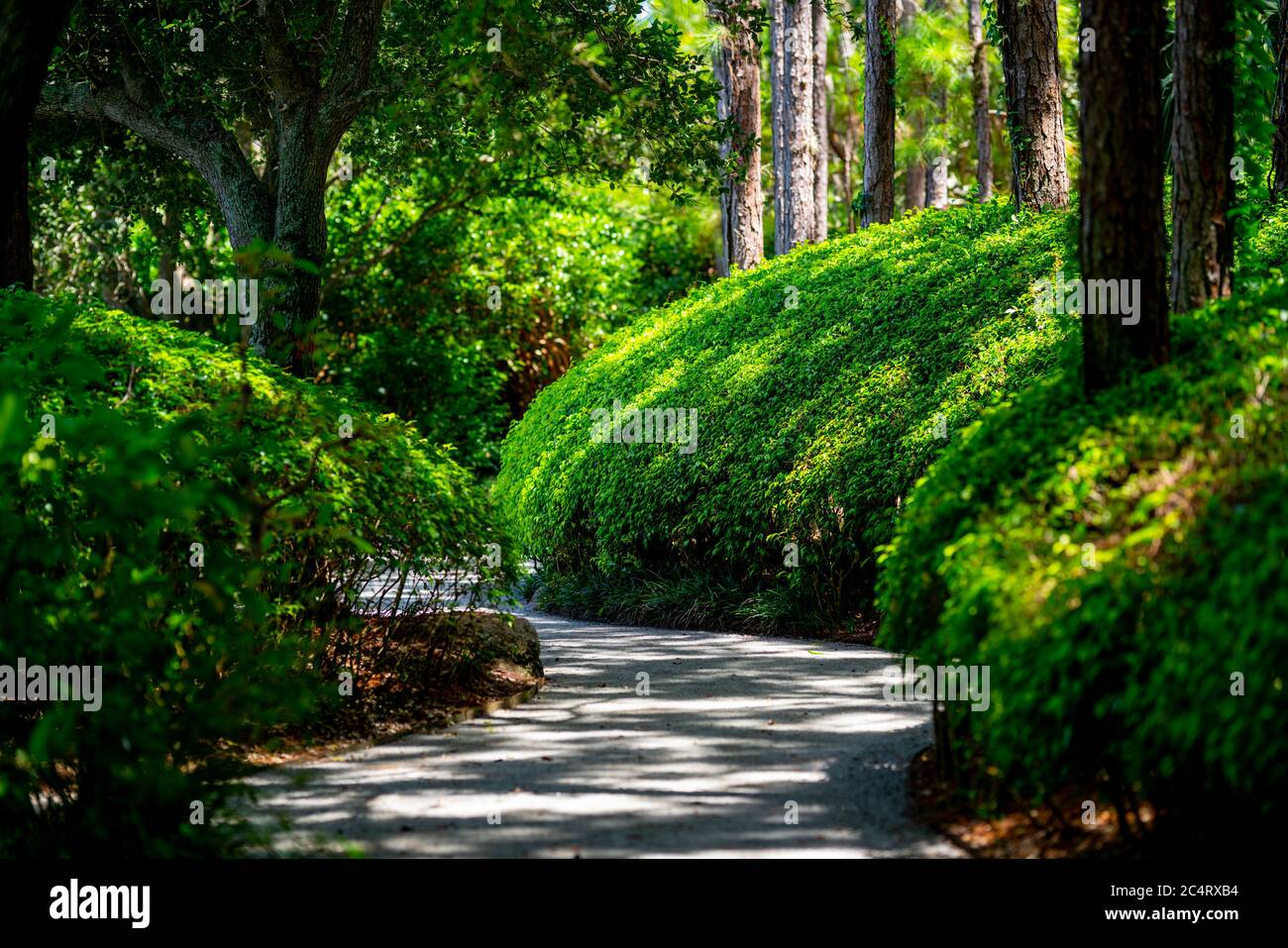 Pedestrian pathway hi-res stock photography and images - Alamy