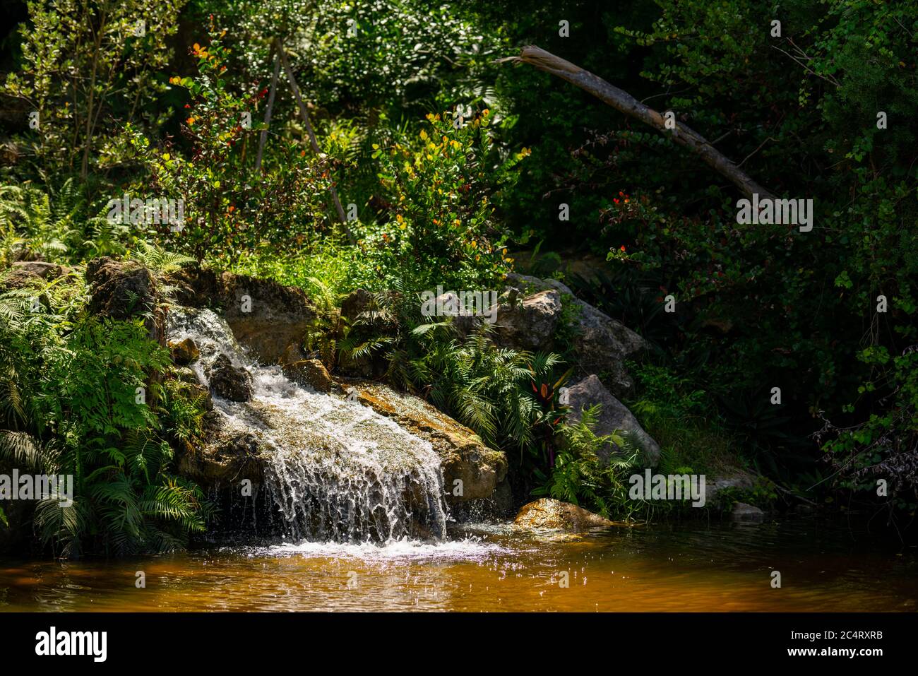 Fall in nature hi-res stock photography and images - Alamy