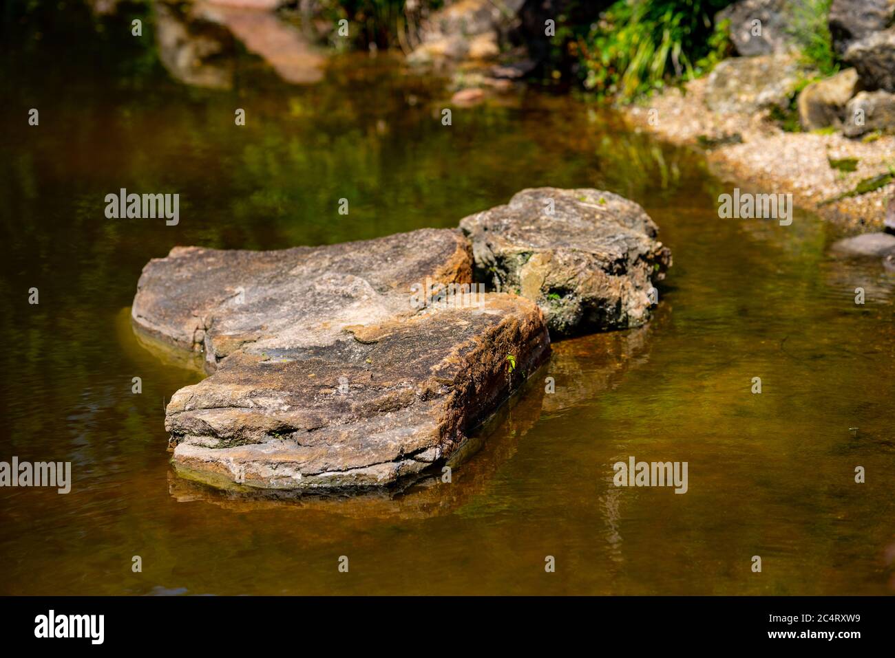 Rock platform hi-res stock photography and images - Alamy
