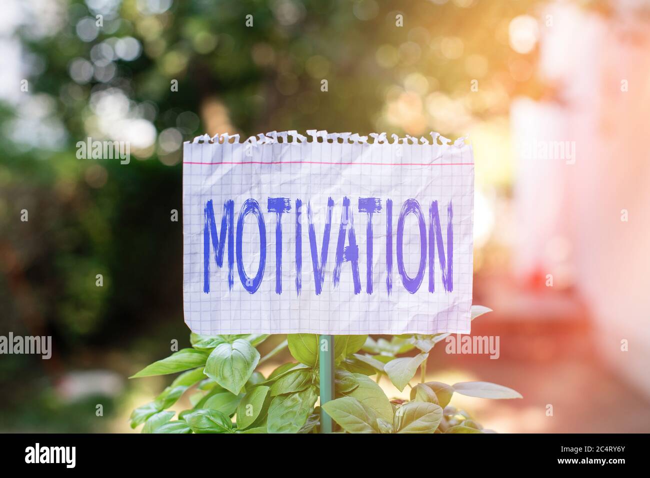 Handwriting text Motivation. Conceptual photo reasons one has for ...