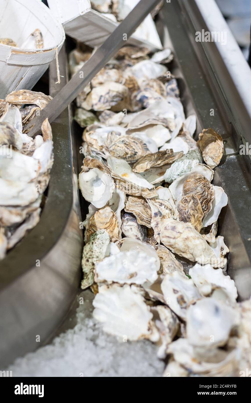 Sea shells stall hi-res stock photography and images - Alamy