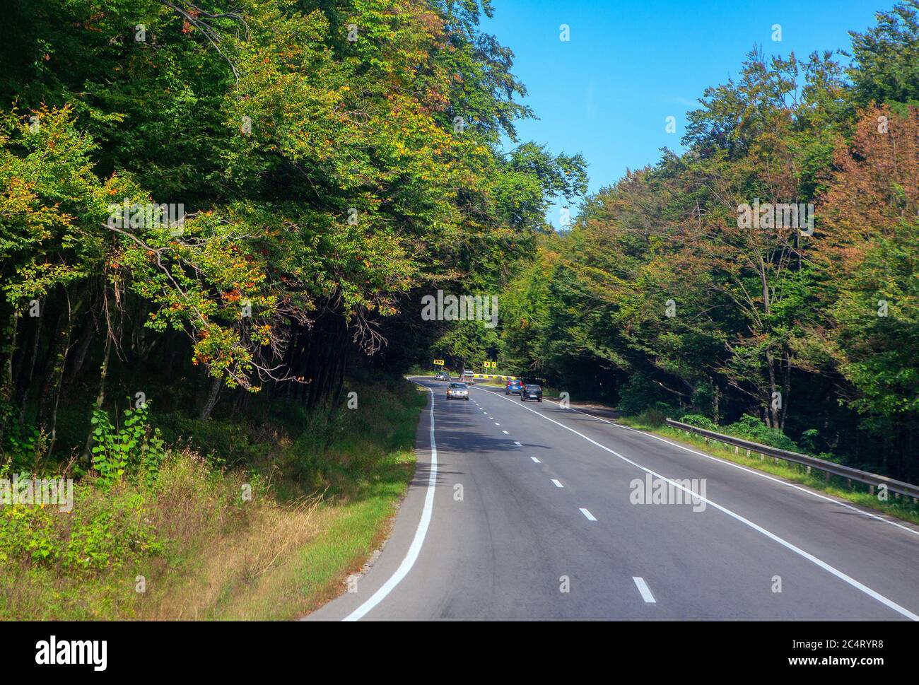 Asphalt road through the forest .Driving cars on a highway Stock Photo ...