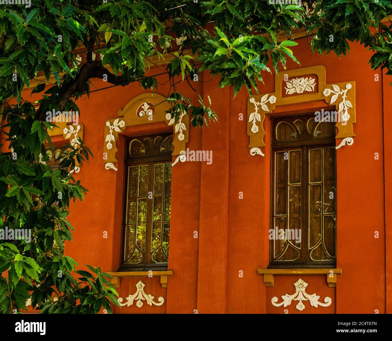 Antique windows embellished with intricate wooden frame and botanical ...