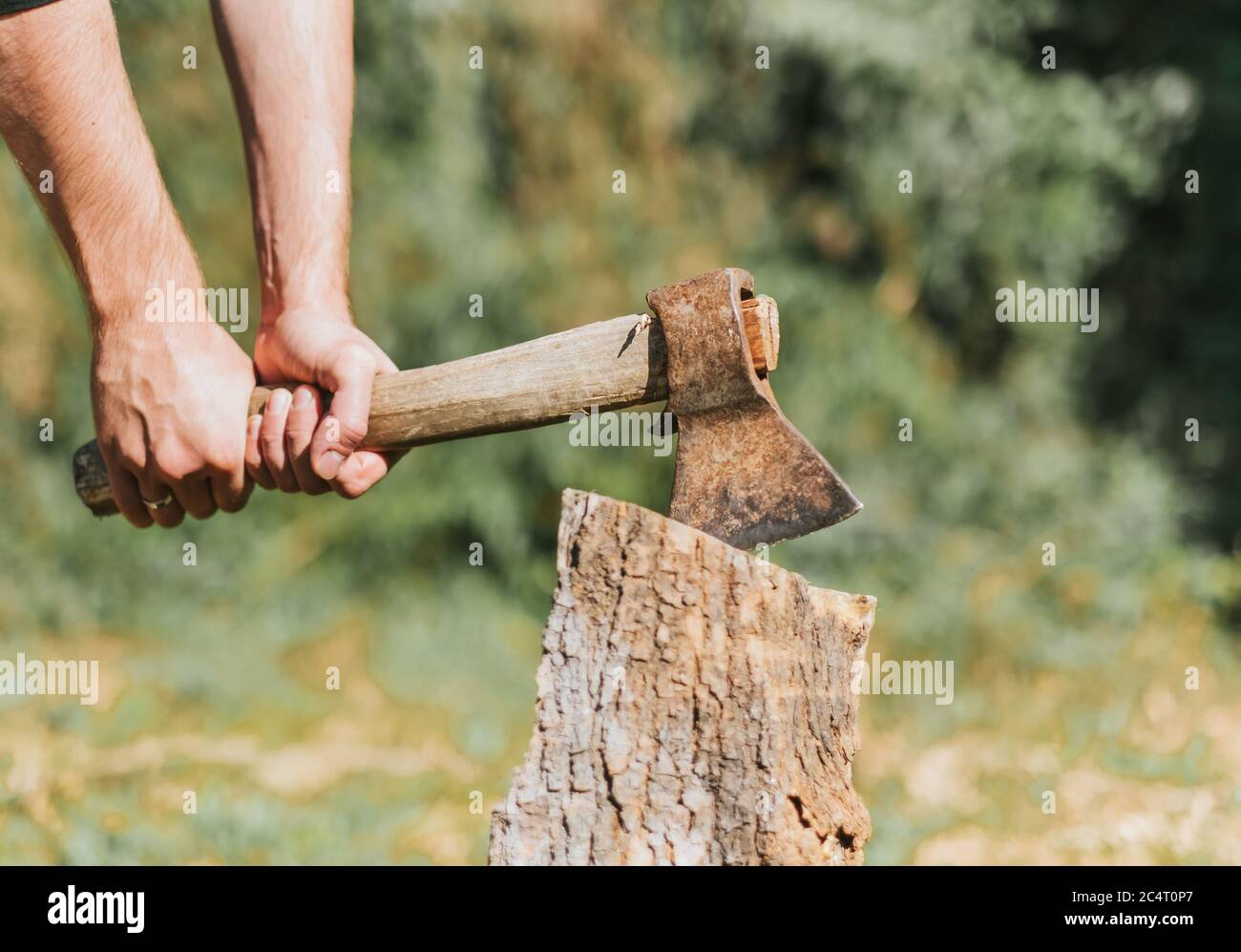 Man chopping tree Stock Photo - Alamy